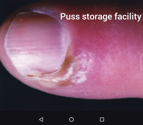 This just makes me feel sick | Scrolller