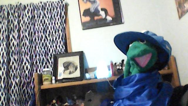 This kermit is full gangster | Scrolller