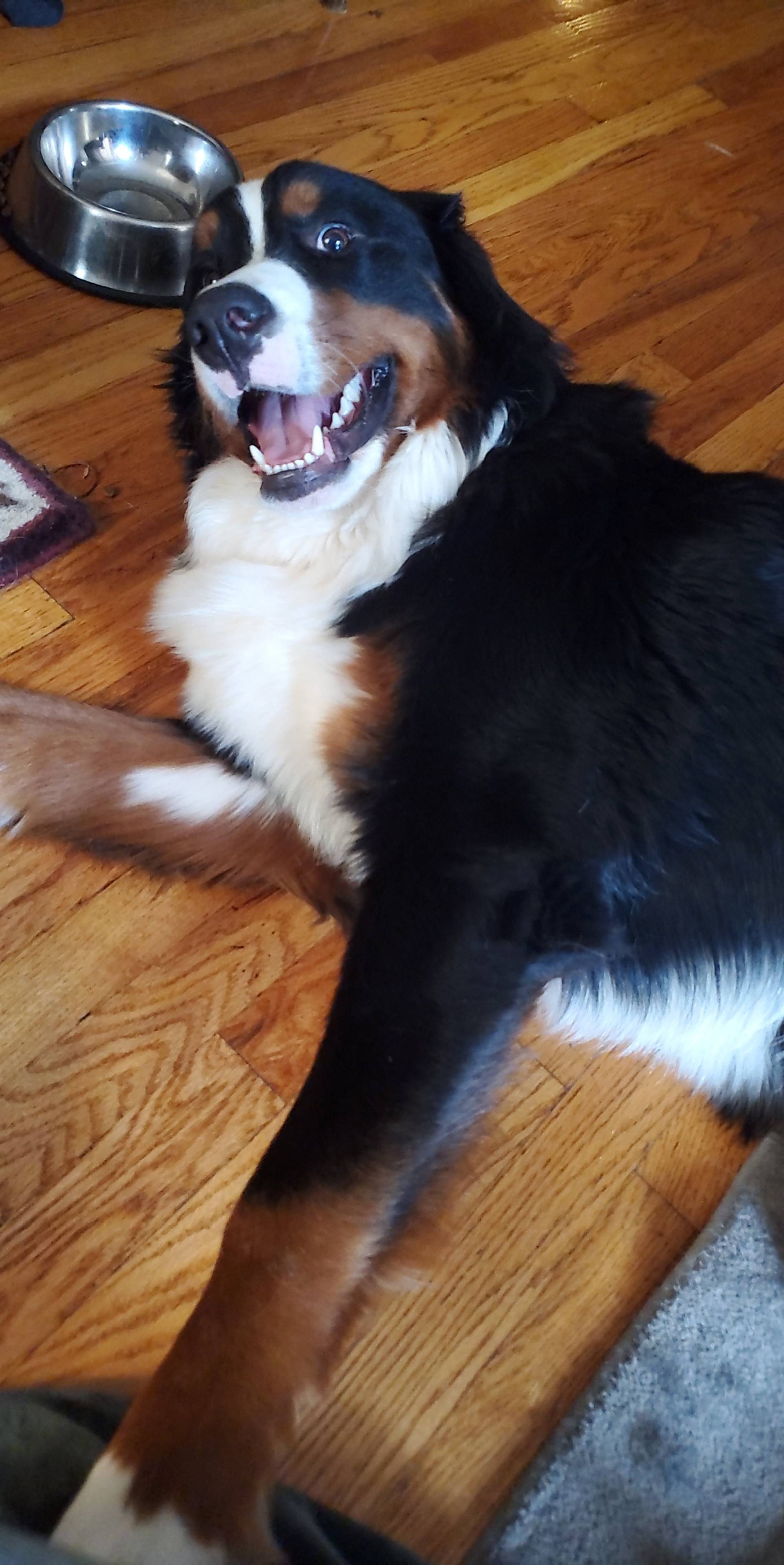 This look of pure joy on my coworker's face is brought to you by the 14th consecutive day of ...