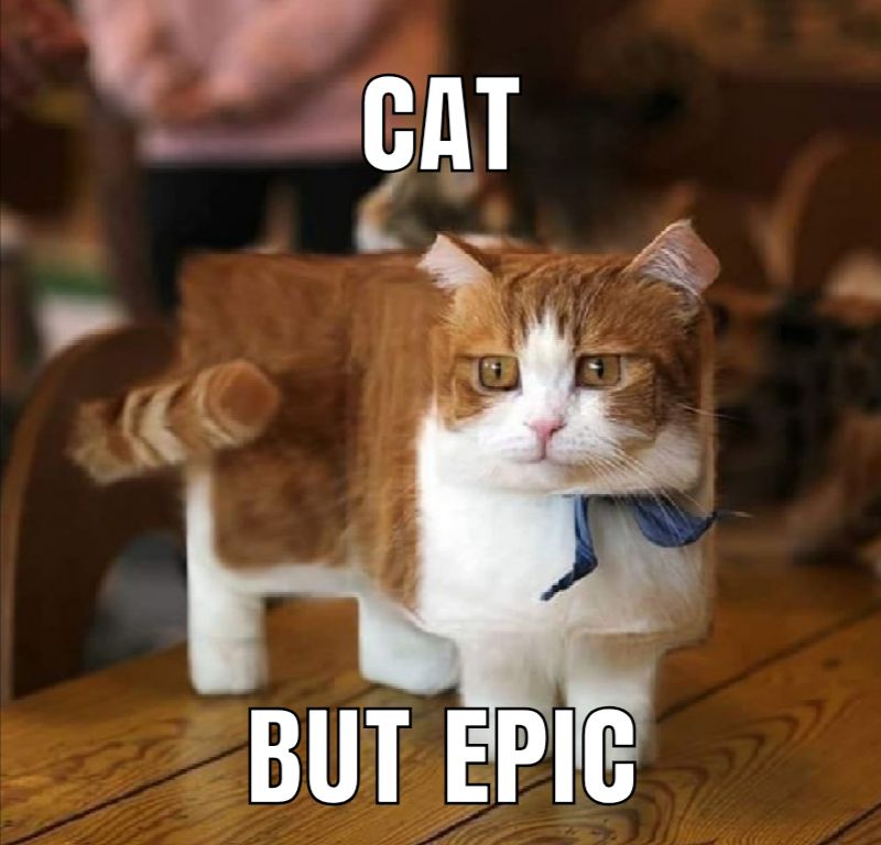 This meme is for ppl in new | Scrolller