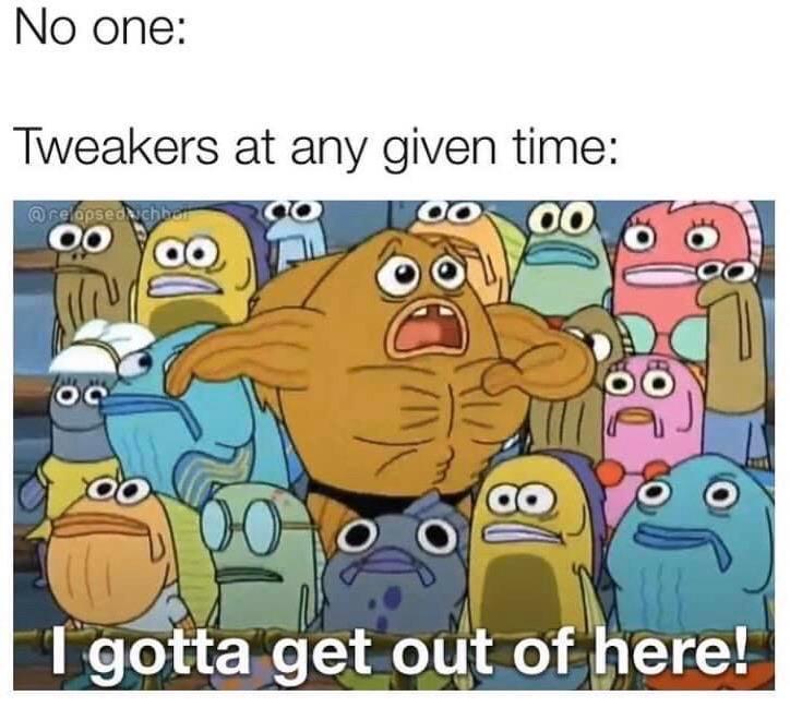 this meme made me laugh so fking hard holy shit | Scrolller