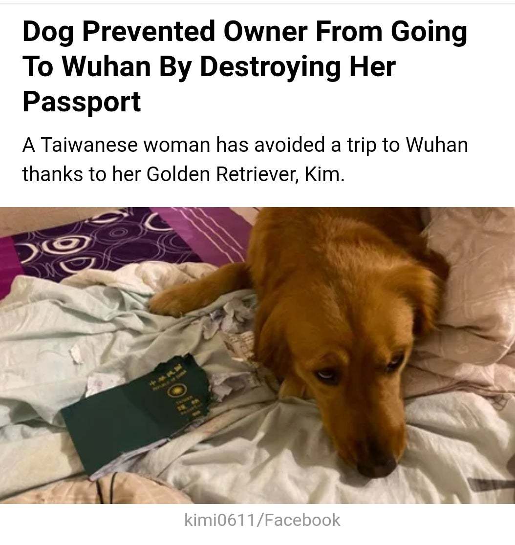 this one is incredibly lucky | Scrolller