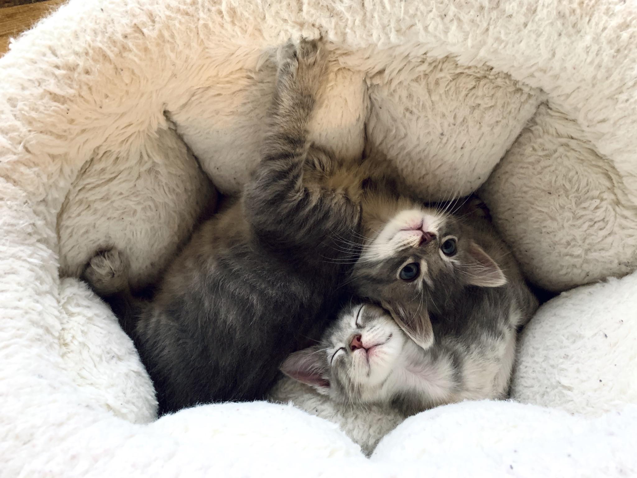 This pair brings me such joy | Scrolller