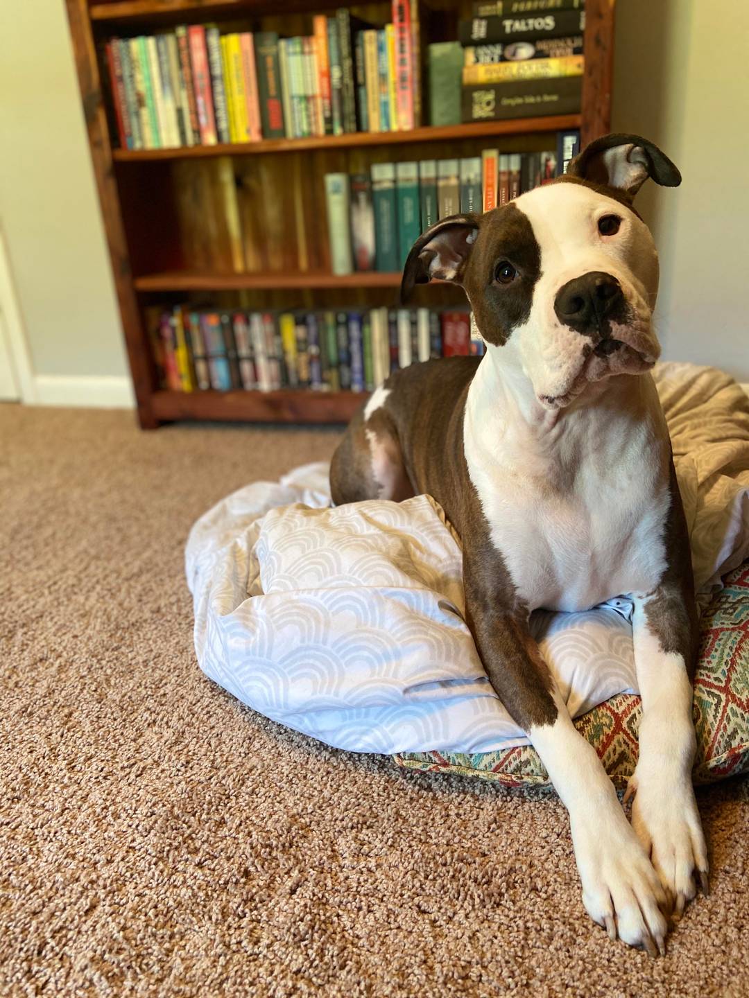 This photo cost me 5 crackers | Scrolller