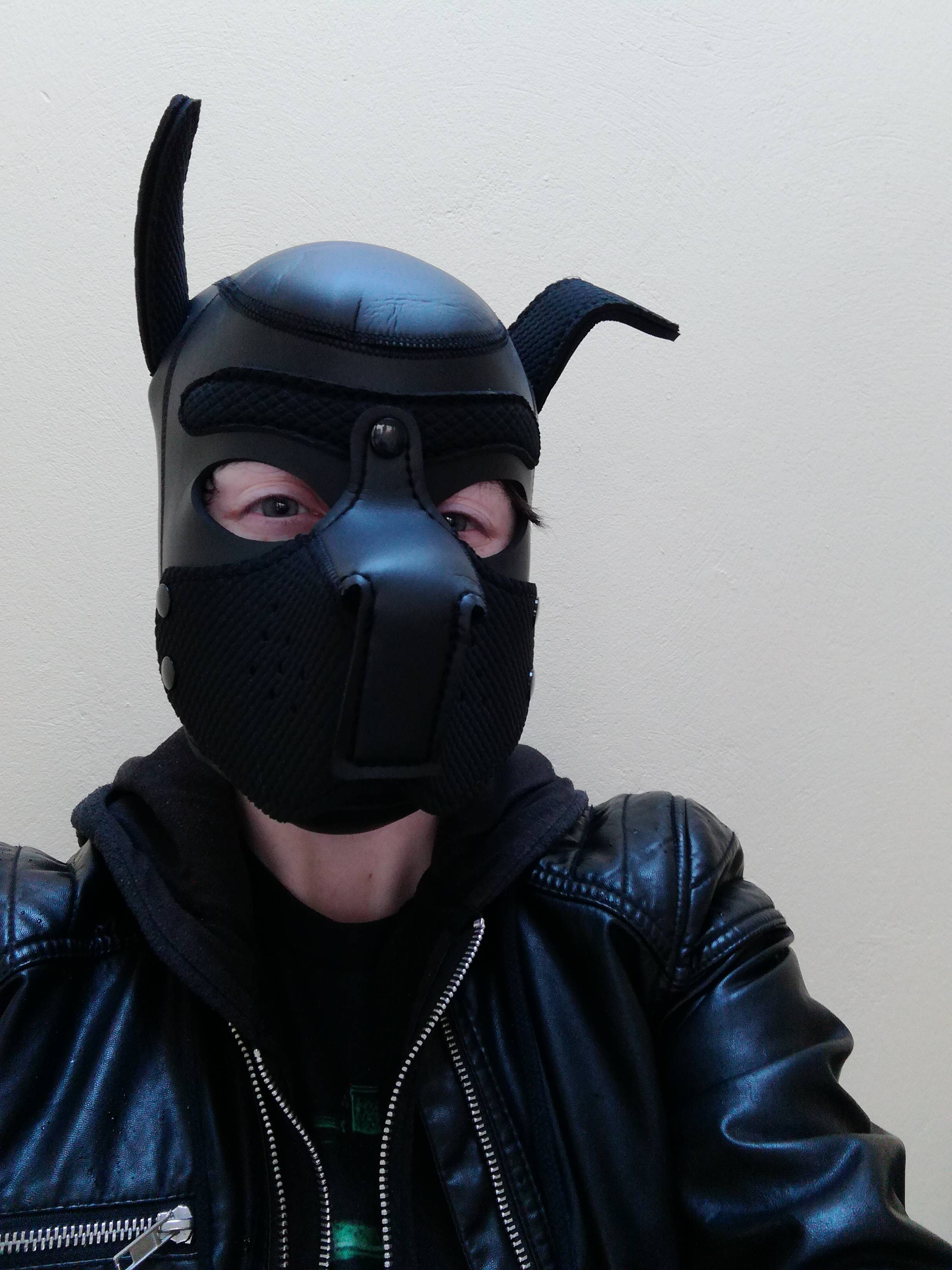 This pup got their first hood! | Scrolller