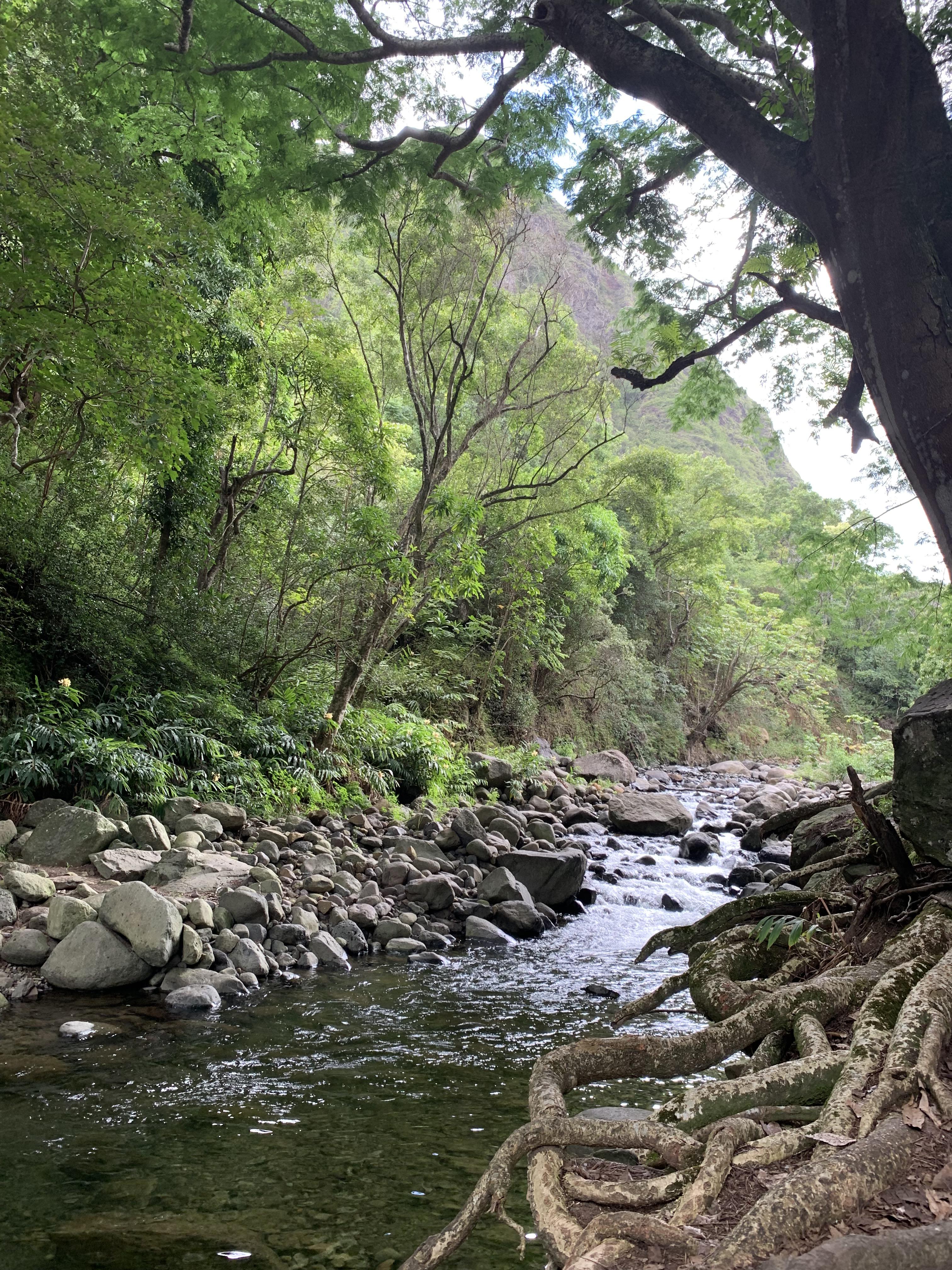 This river in Maui | Scrolller