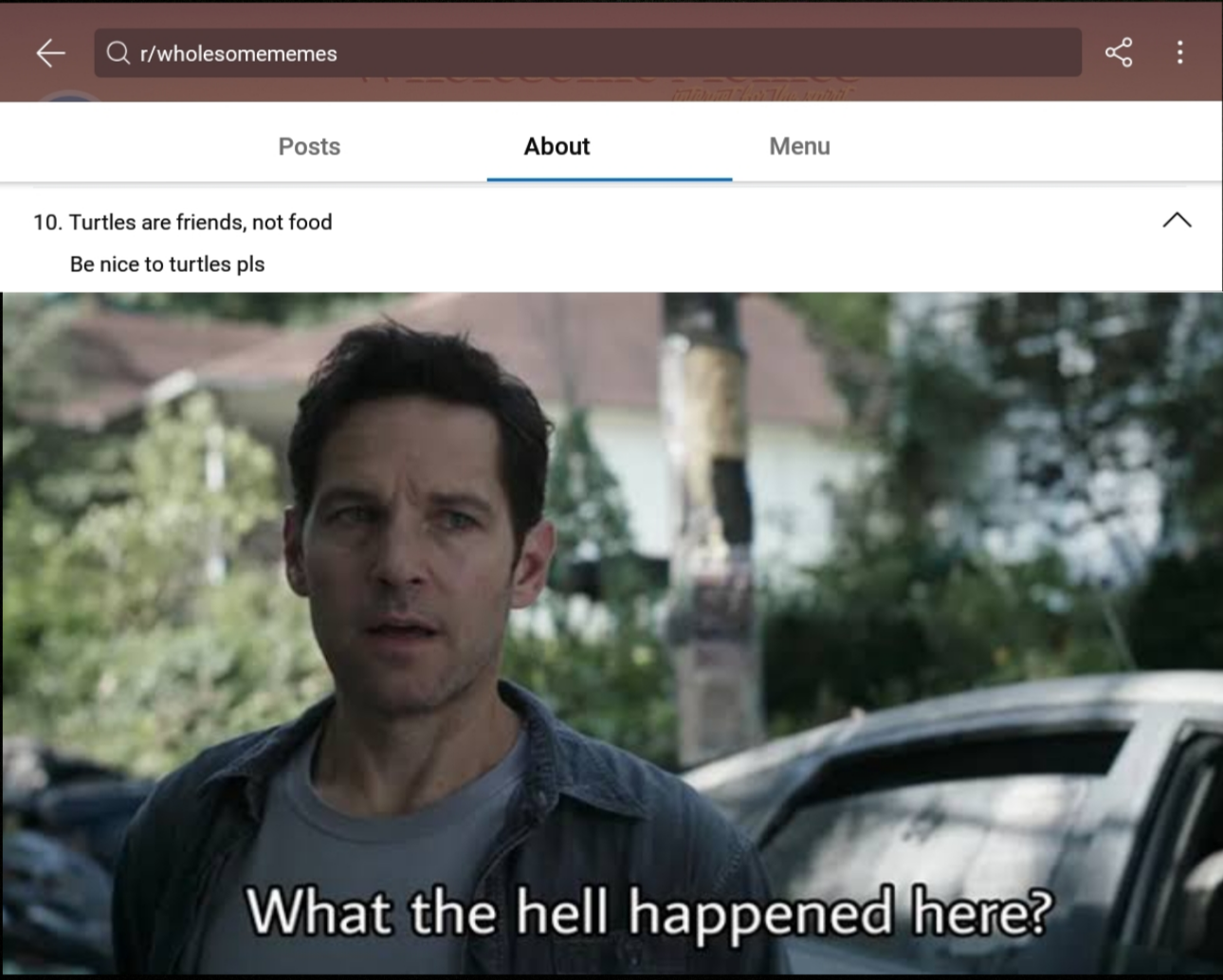 This Rule tho... | Scrolller
