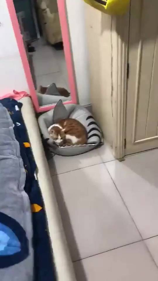 this seems like a good spot | Scrolller