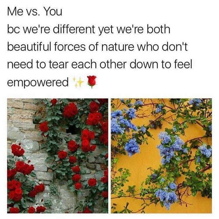 This seems to fit here 🤗 | Scrolller