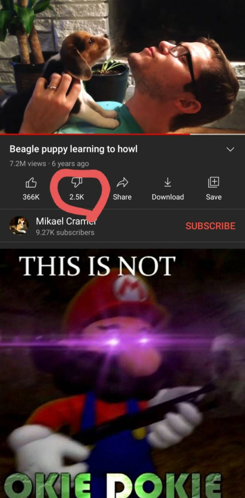 This shall not stand | Scrolller