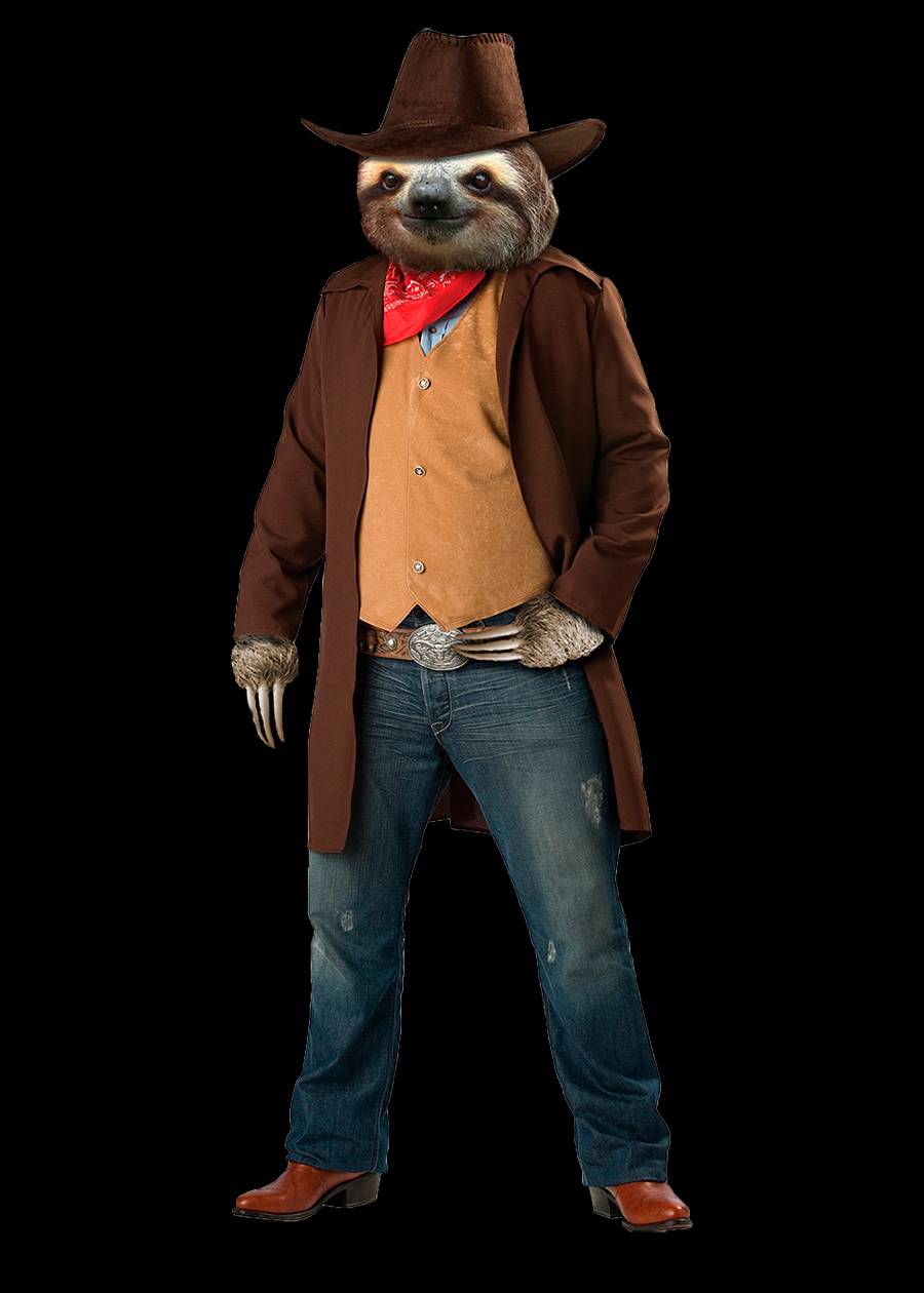 This sloth cowboy | Scrolller