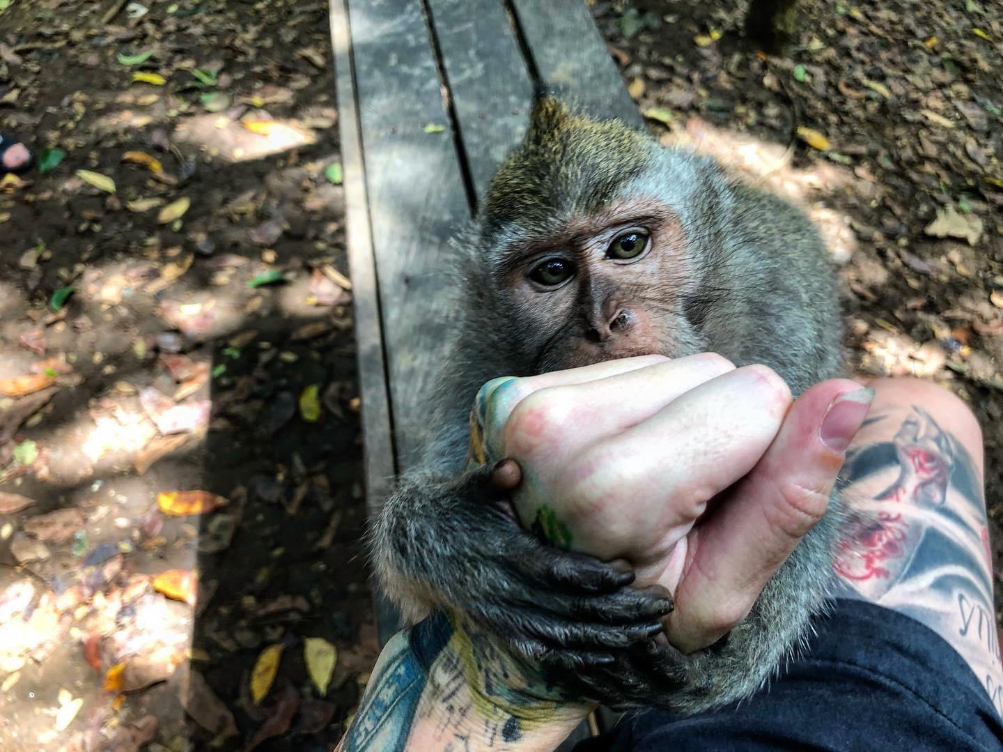 This Small guy | Scrolller