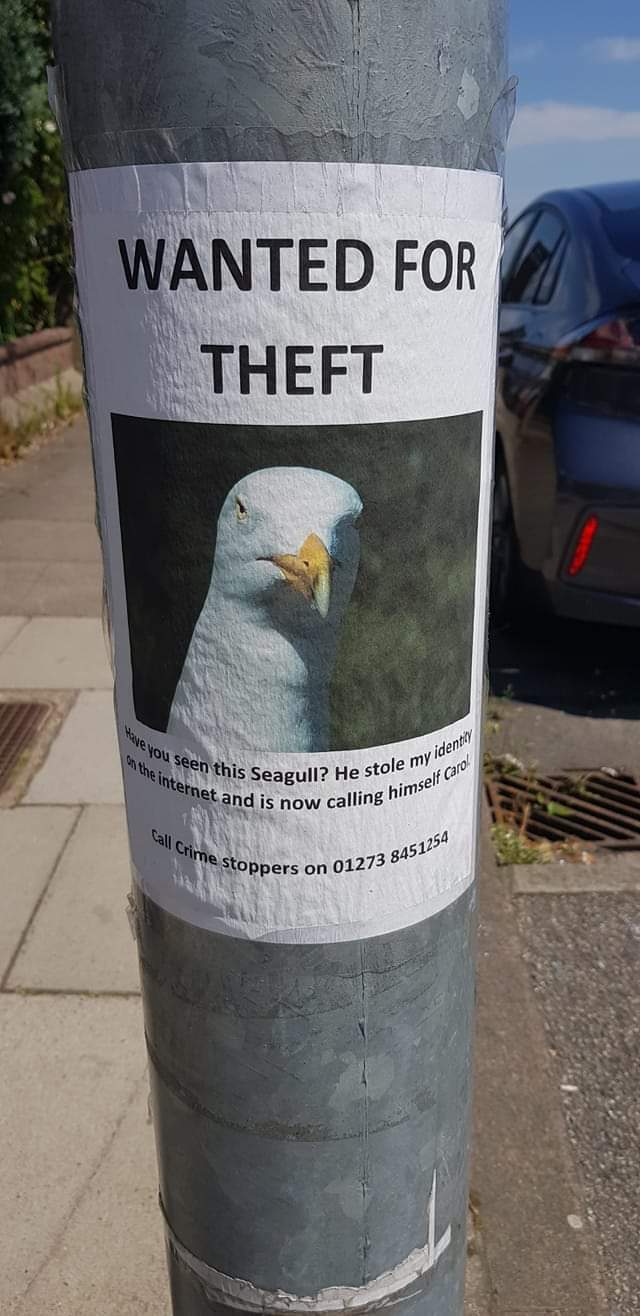 This tickled me to my very core. | Scrolller