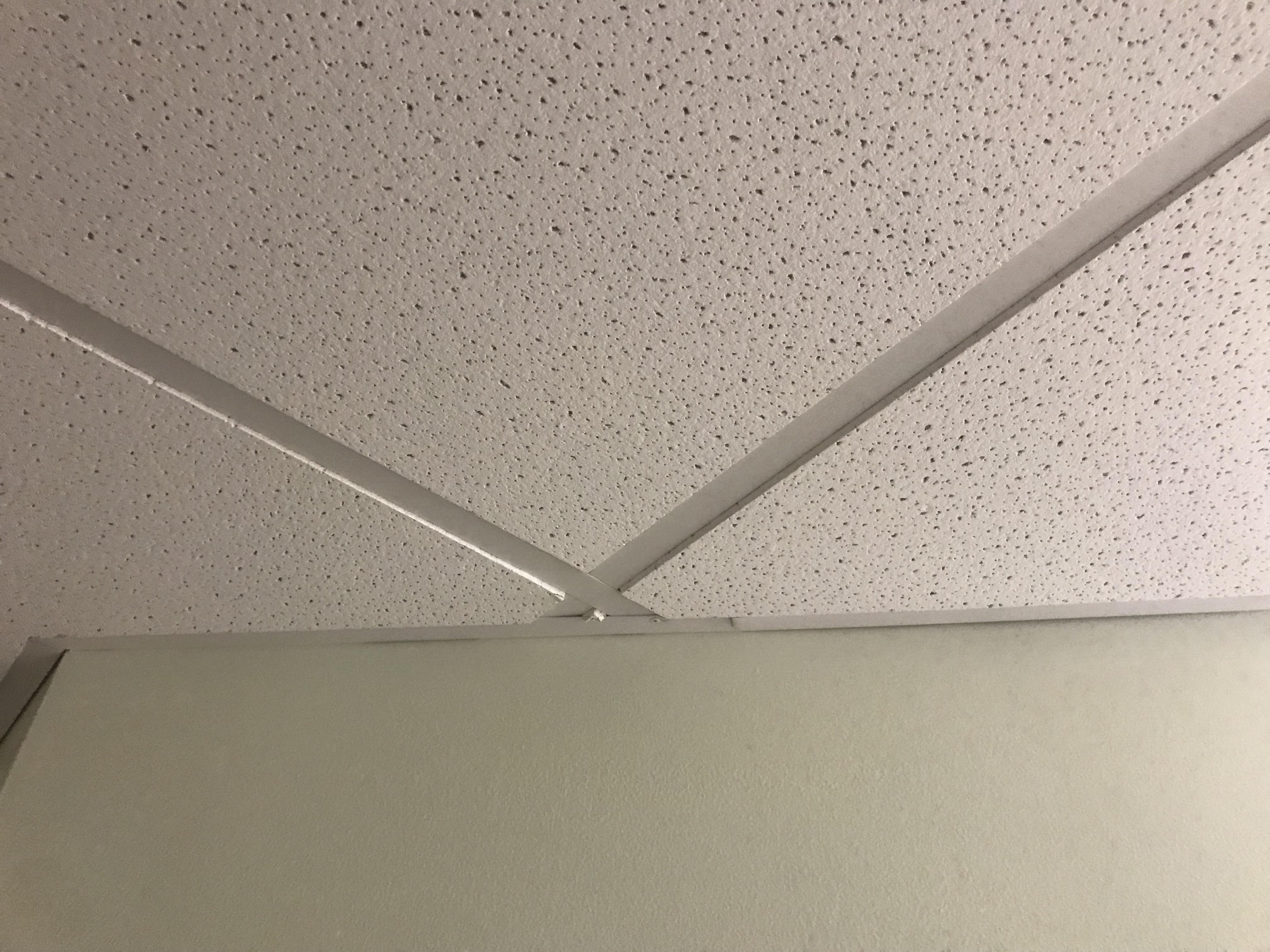 This tiny ceiling tile at my house | Scrolller