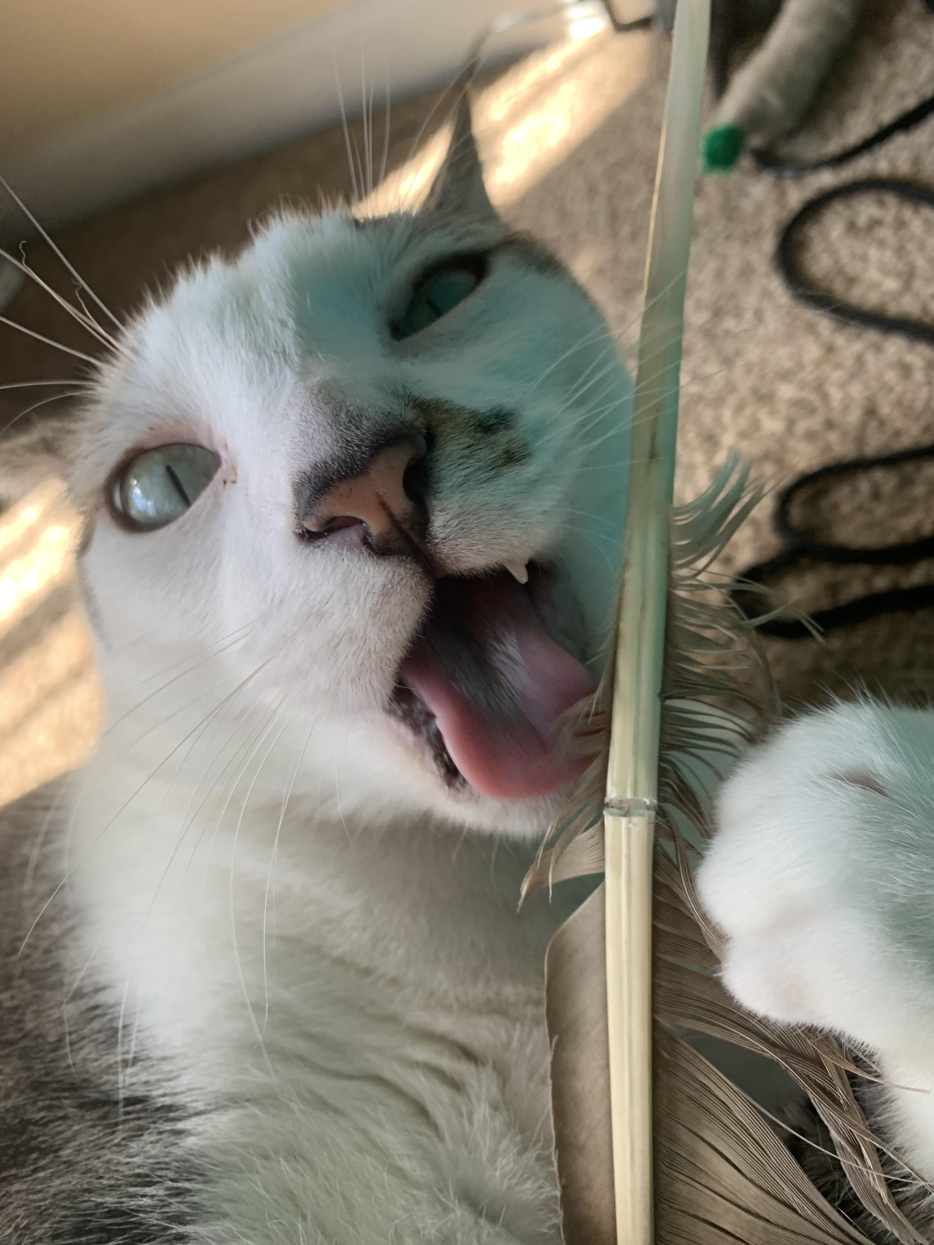 This weirdo and his hot breath...