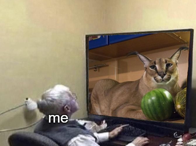 this whole sub | Scrolller