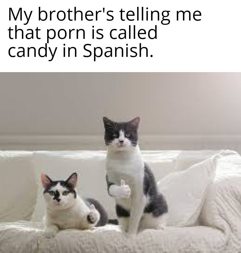 Those bastard's lied to me. | Scrolller