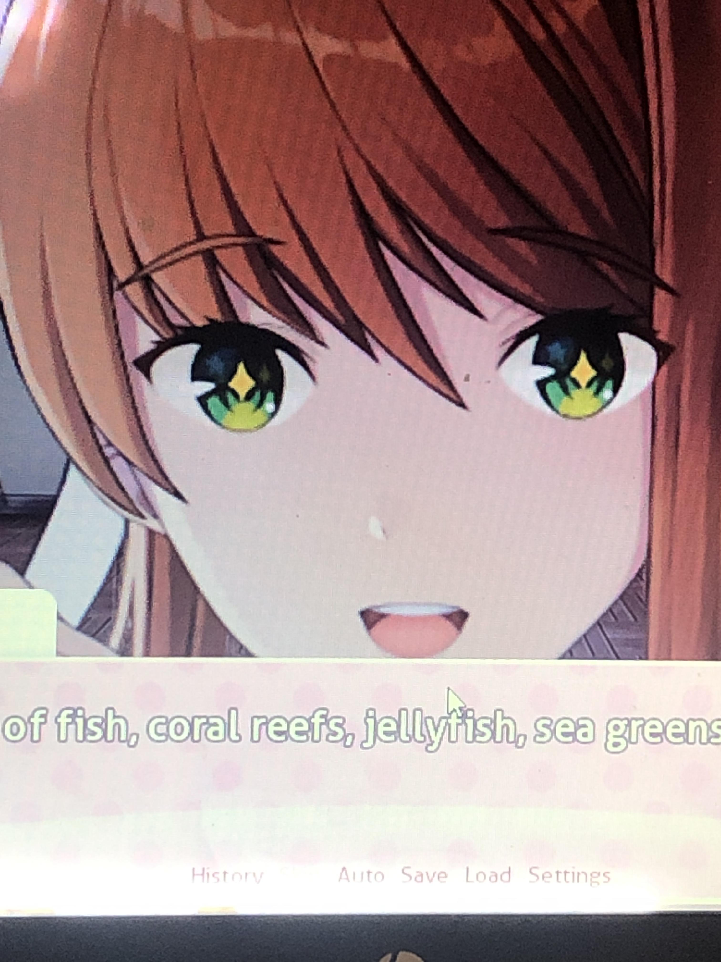 Those eyes get me every time | Scrolller