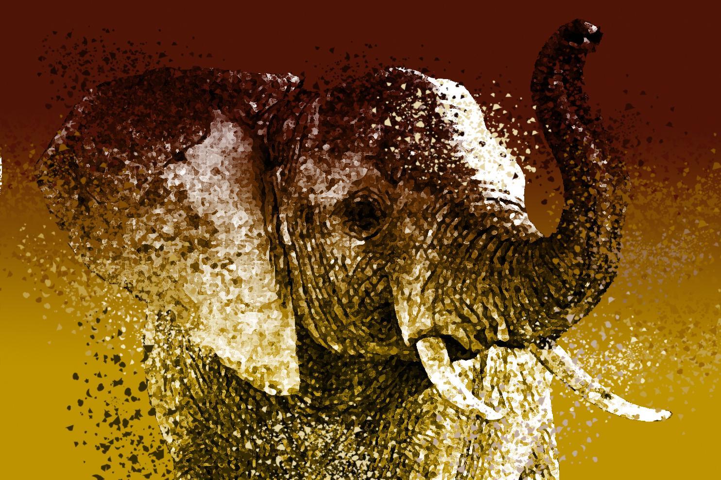 Thought I'd do another elephant | Scrolller