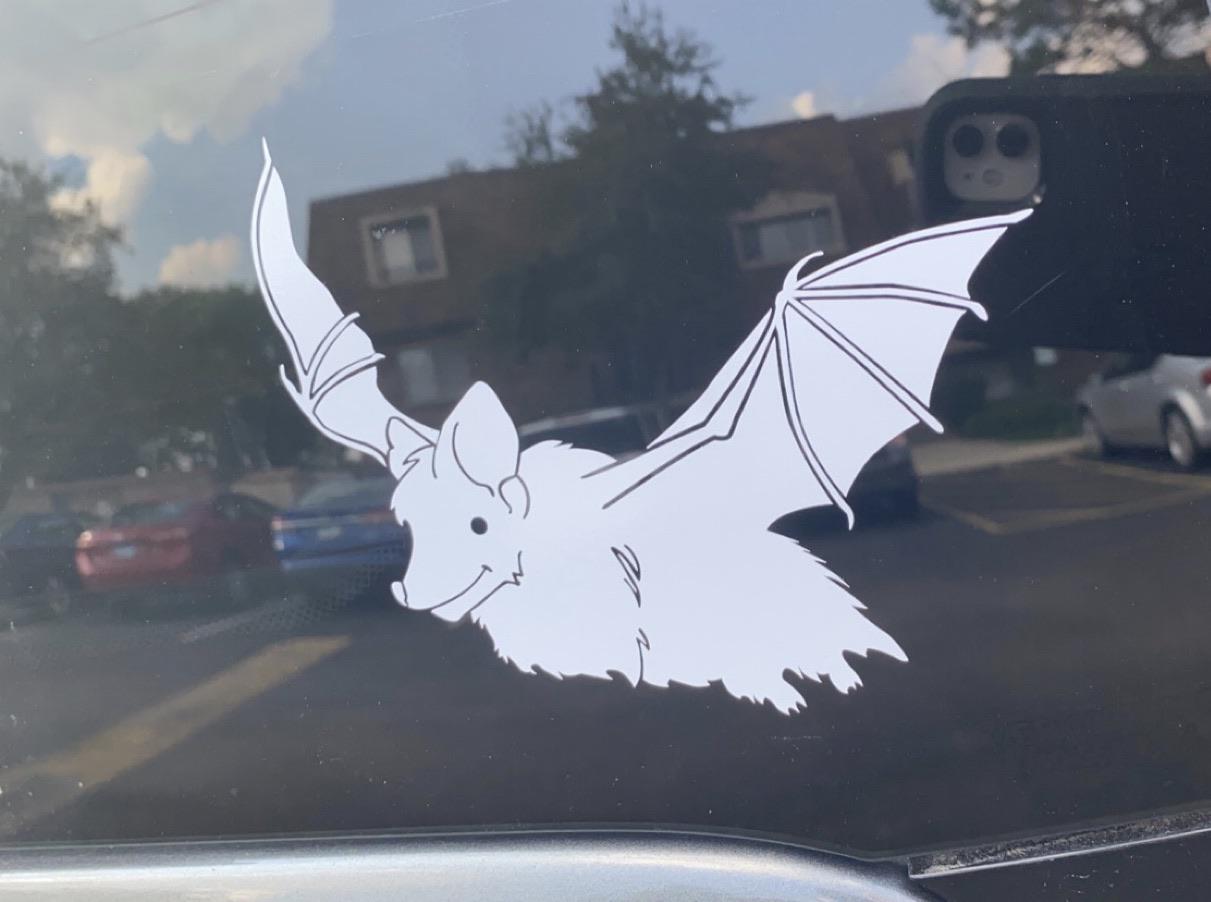 Thought you all would enjoy the new window decal for my car. | Scrolller