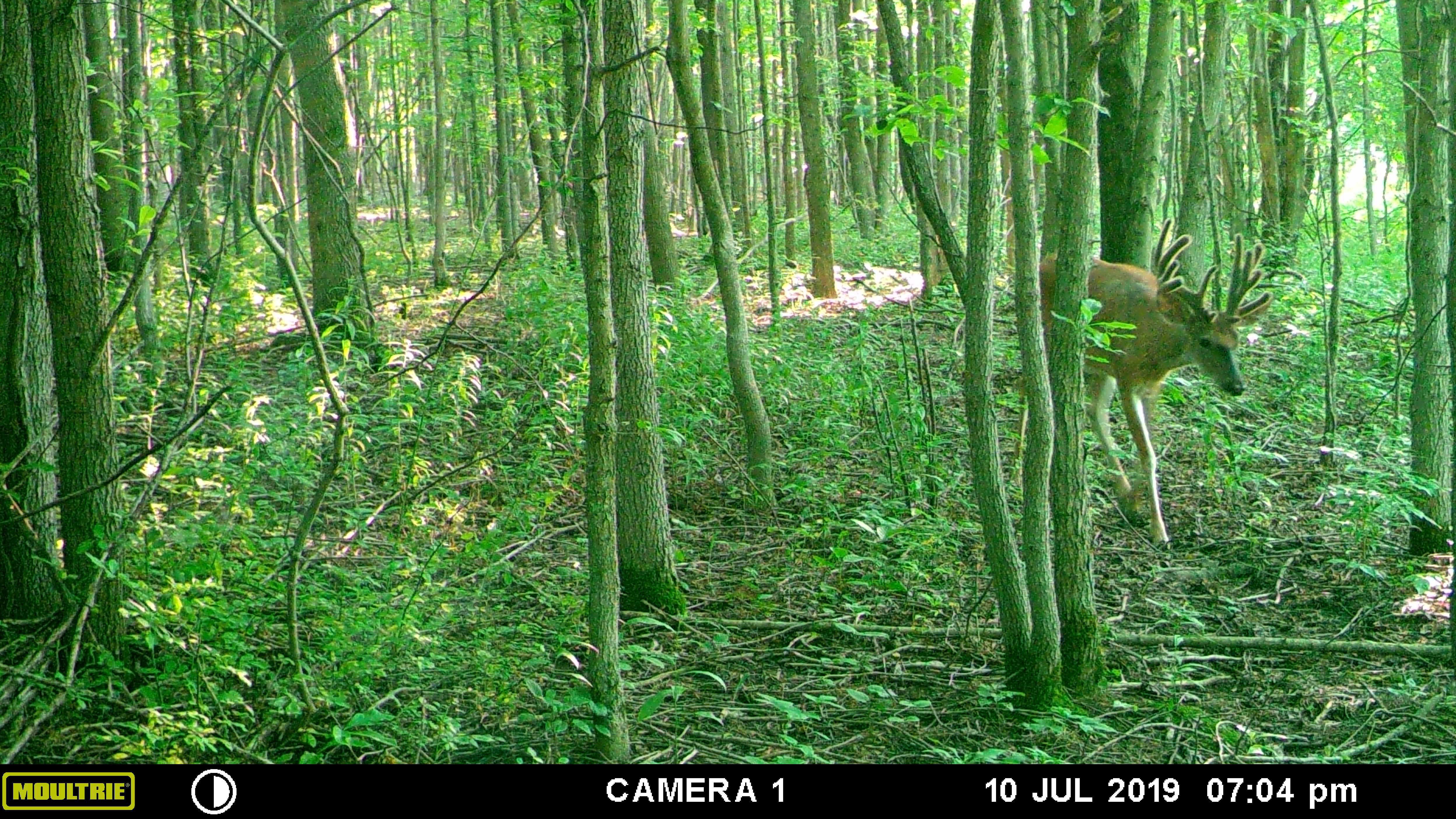 Three years of watching him grow | Scrolller