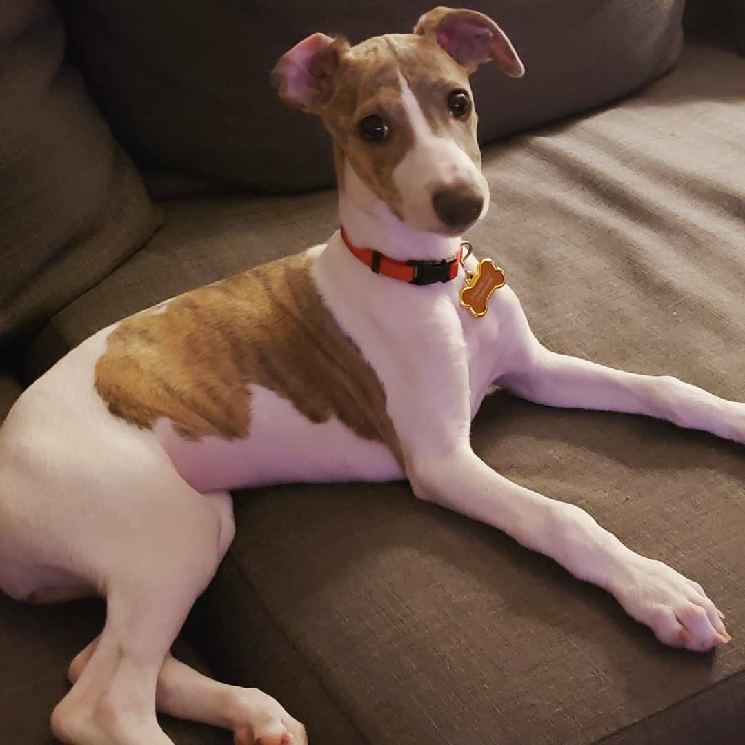 Throwback to when my Winnie was a small baby (3 months) | Scrolller