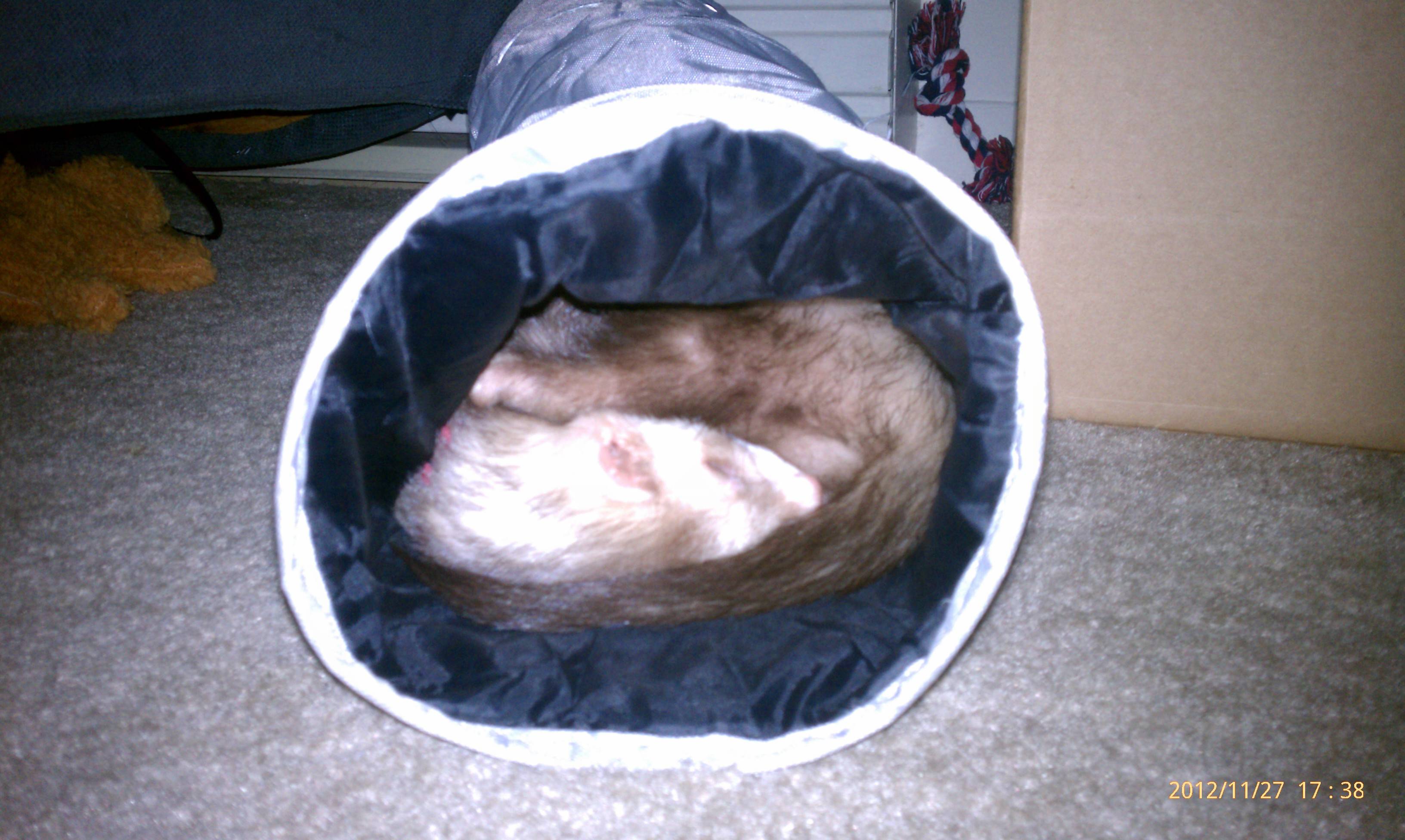 Tight squeeze there Dexter. | Scrolller