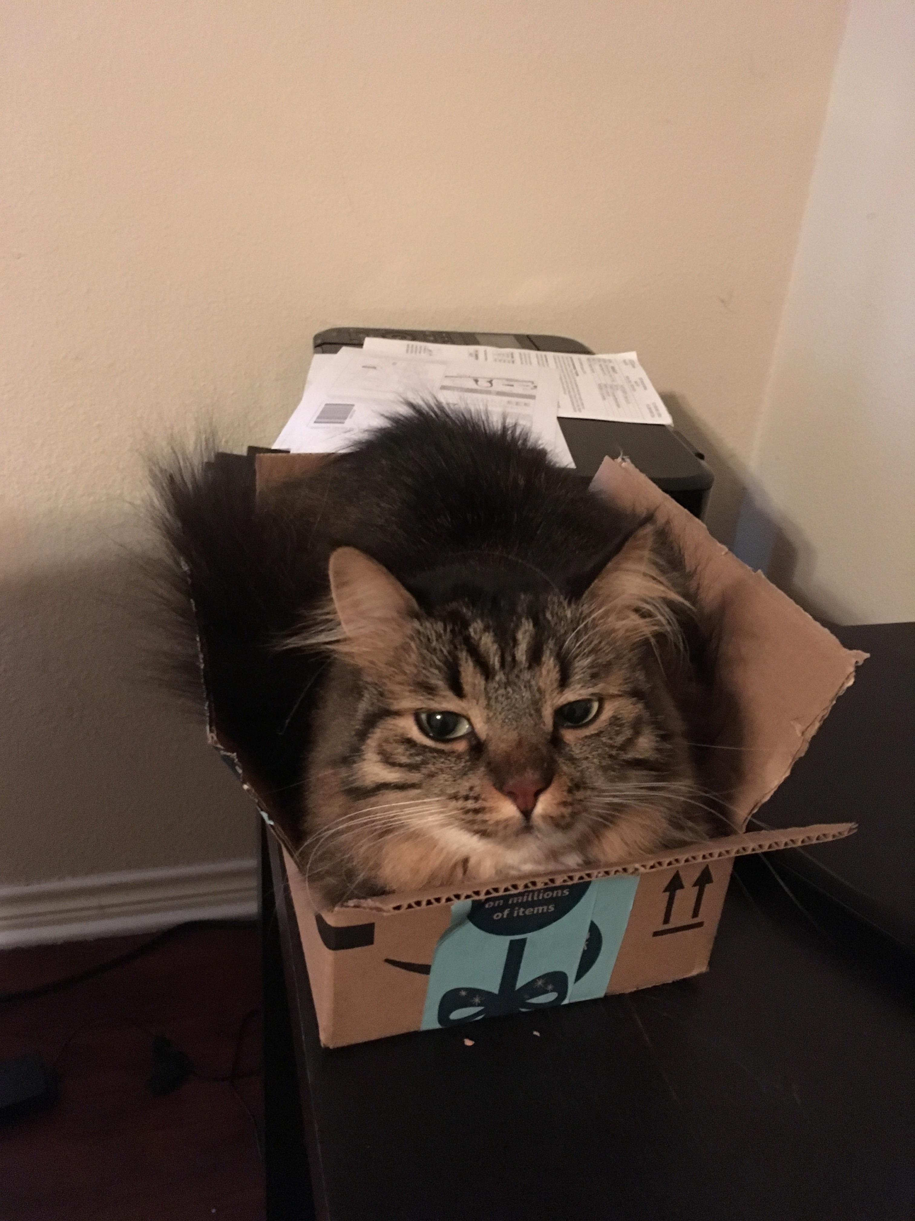 Tightly packaged loaf | Scrolller