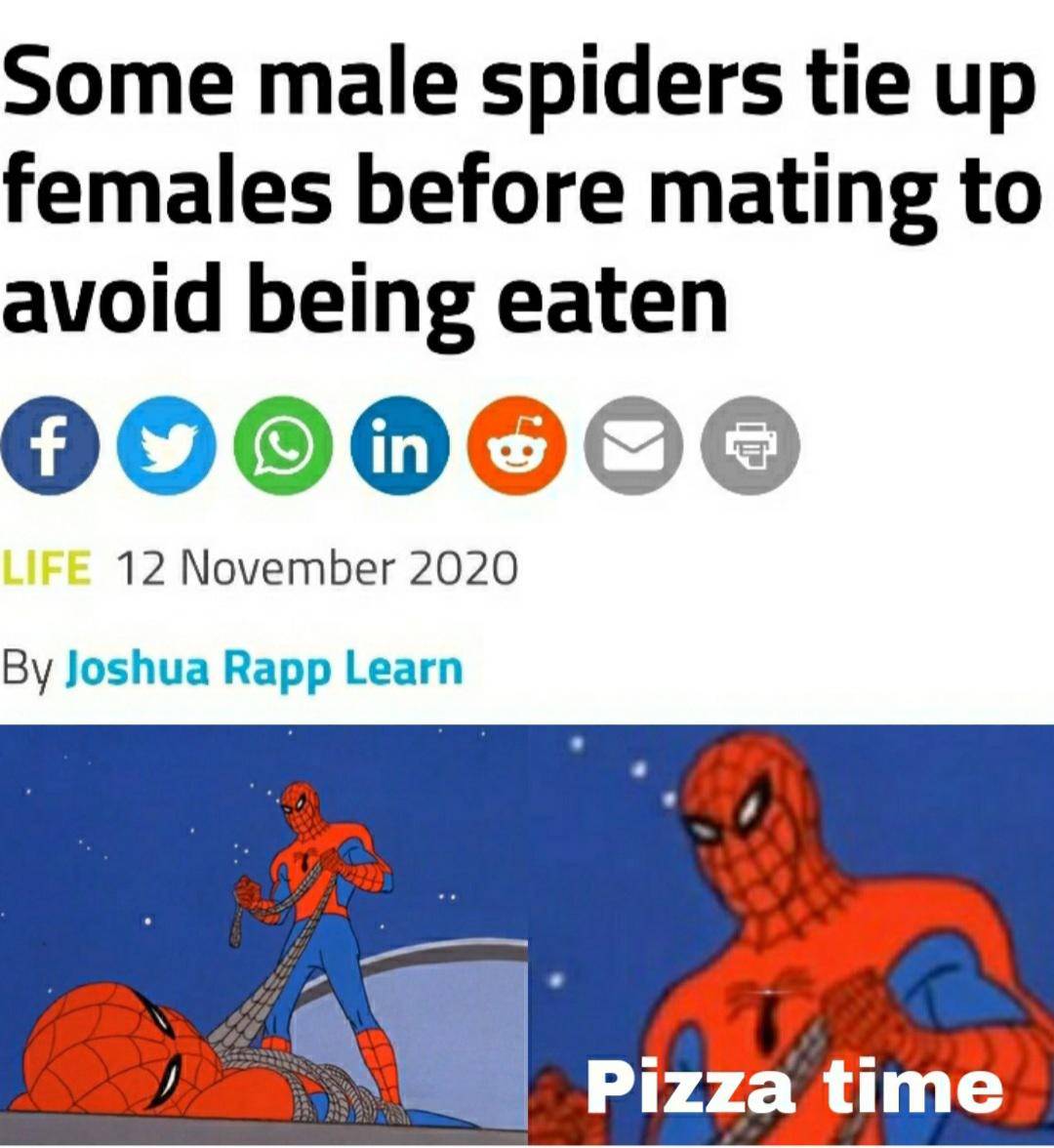 Time to get freaky | Scrolller