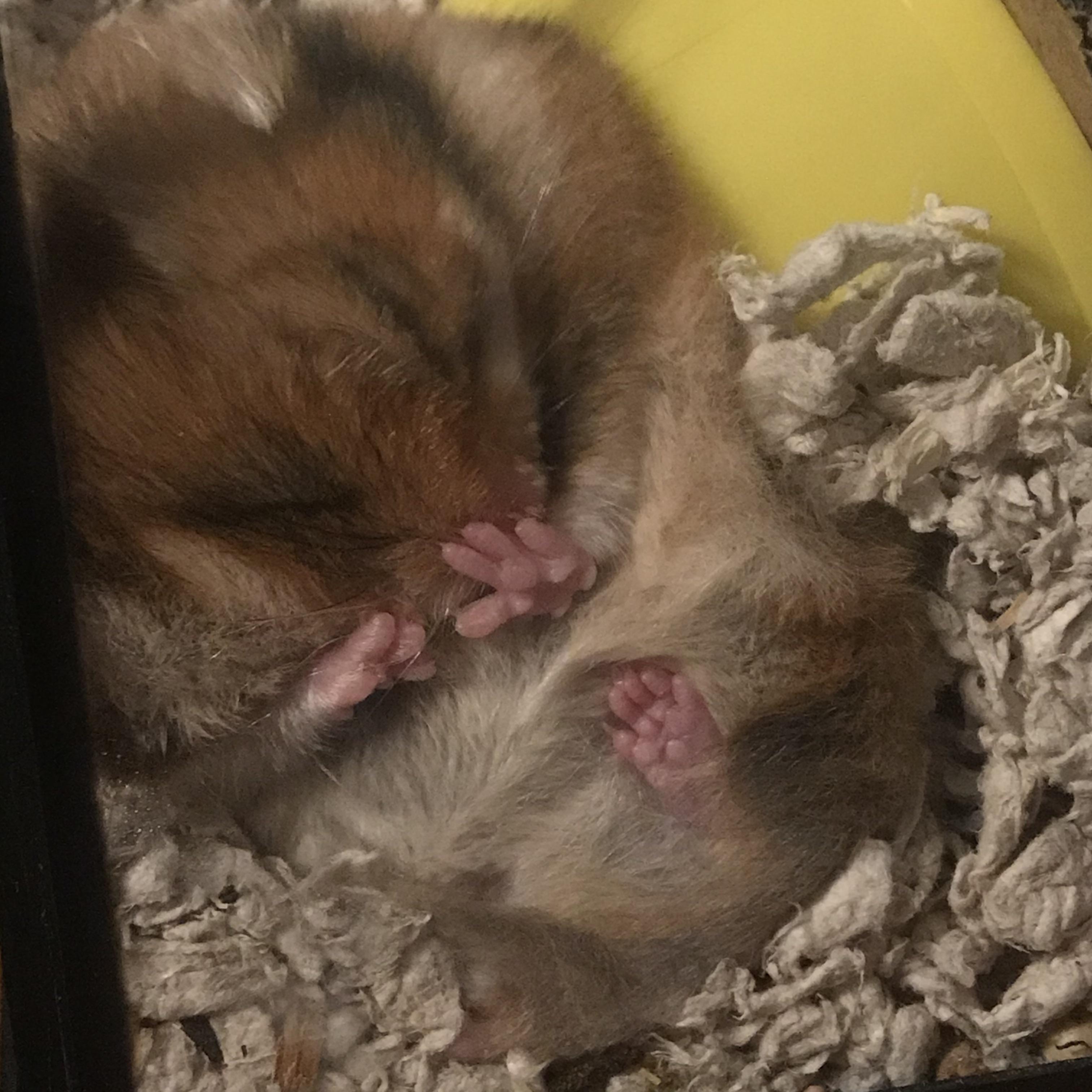 Tiny beans! | Scrolller