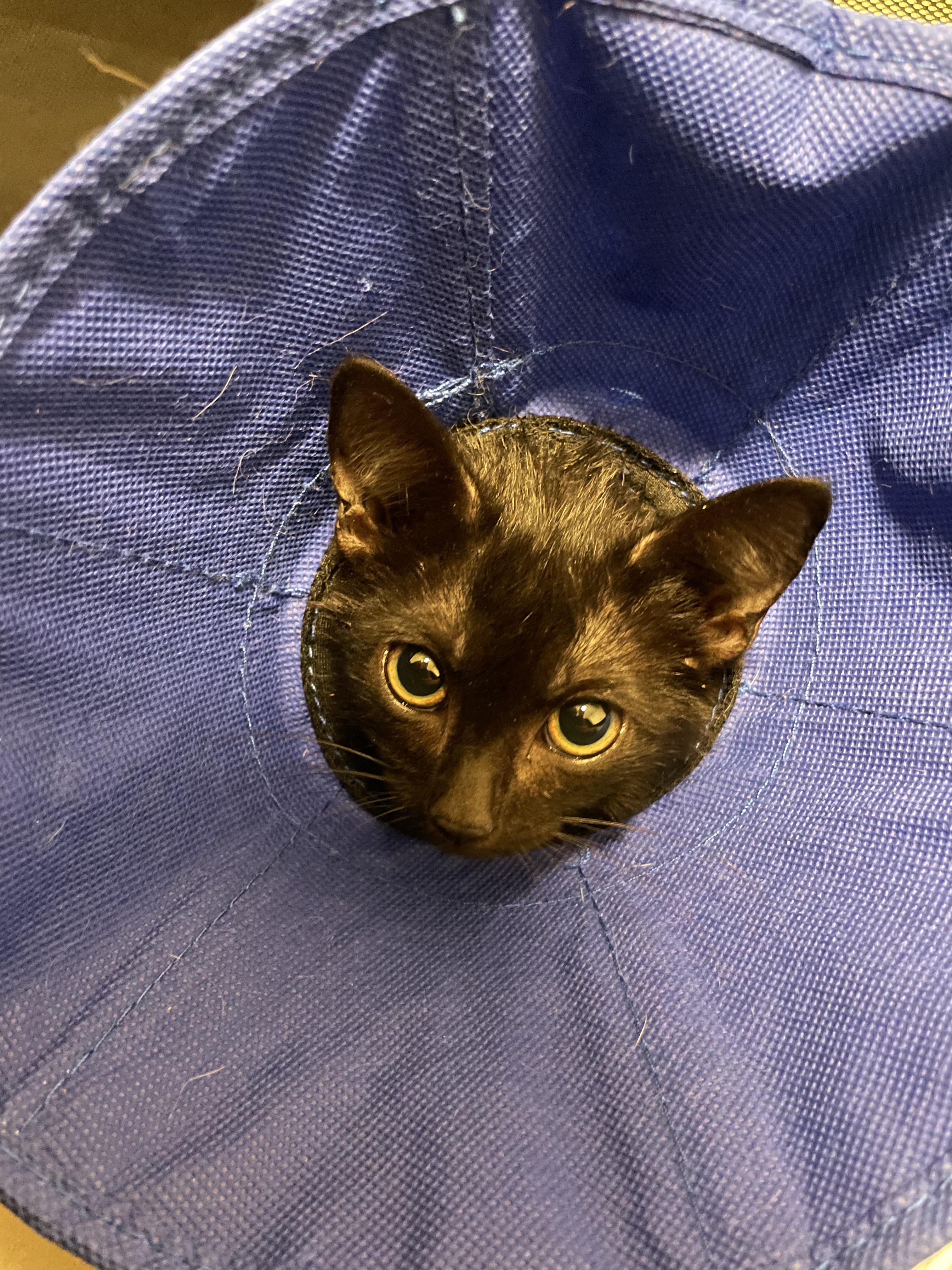 Tiny-but-growing void opened up in our house today. | Scrolller