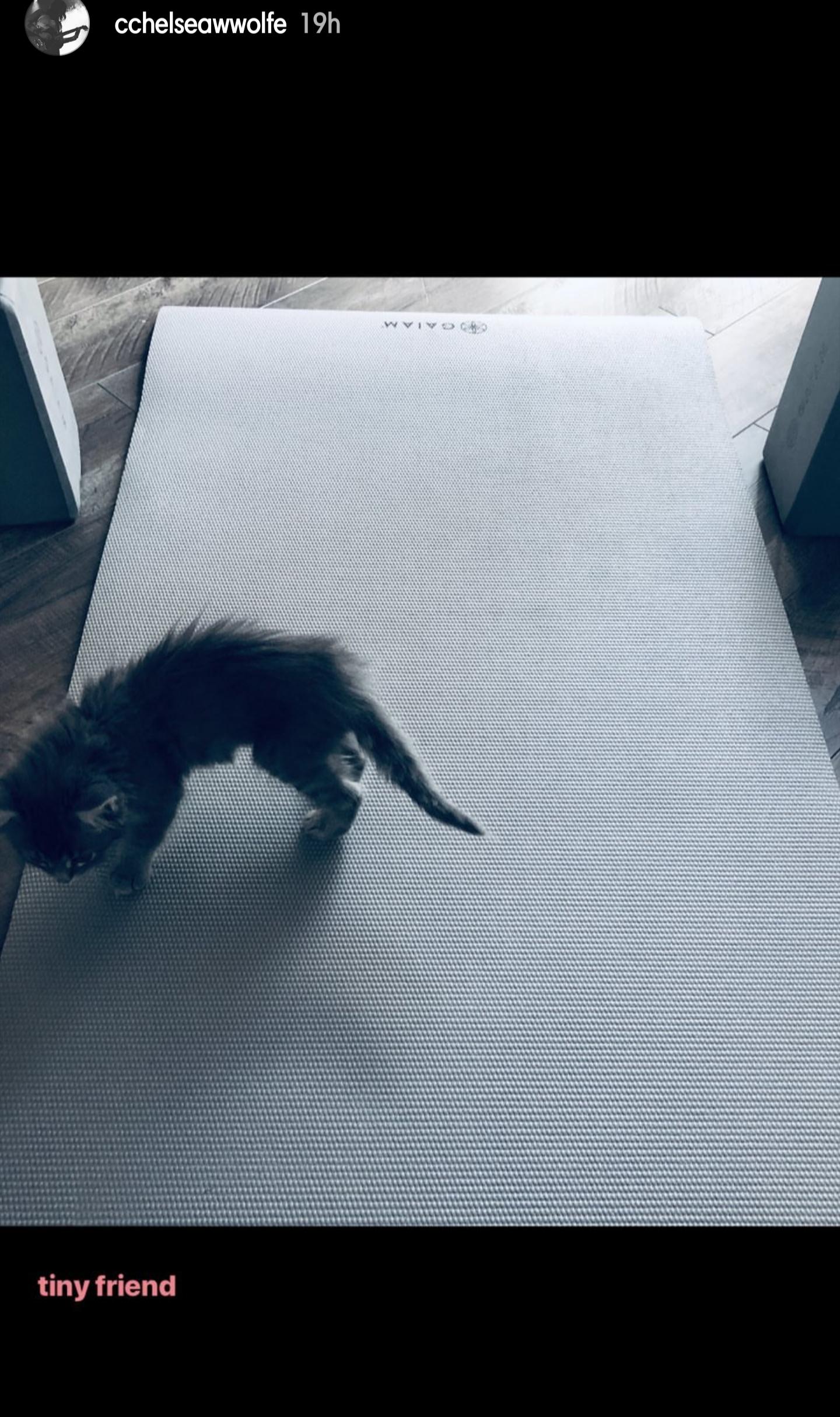 Tiny friend | Scrolller