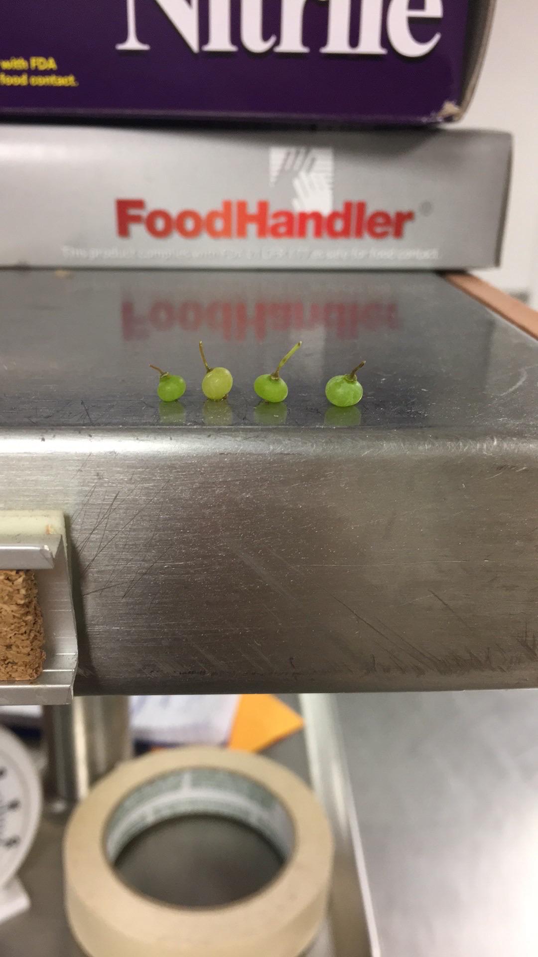 Tiny grapes | Scrolller