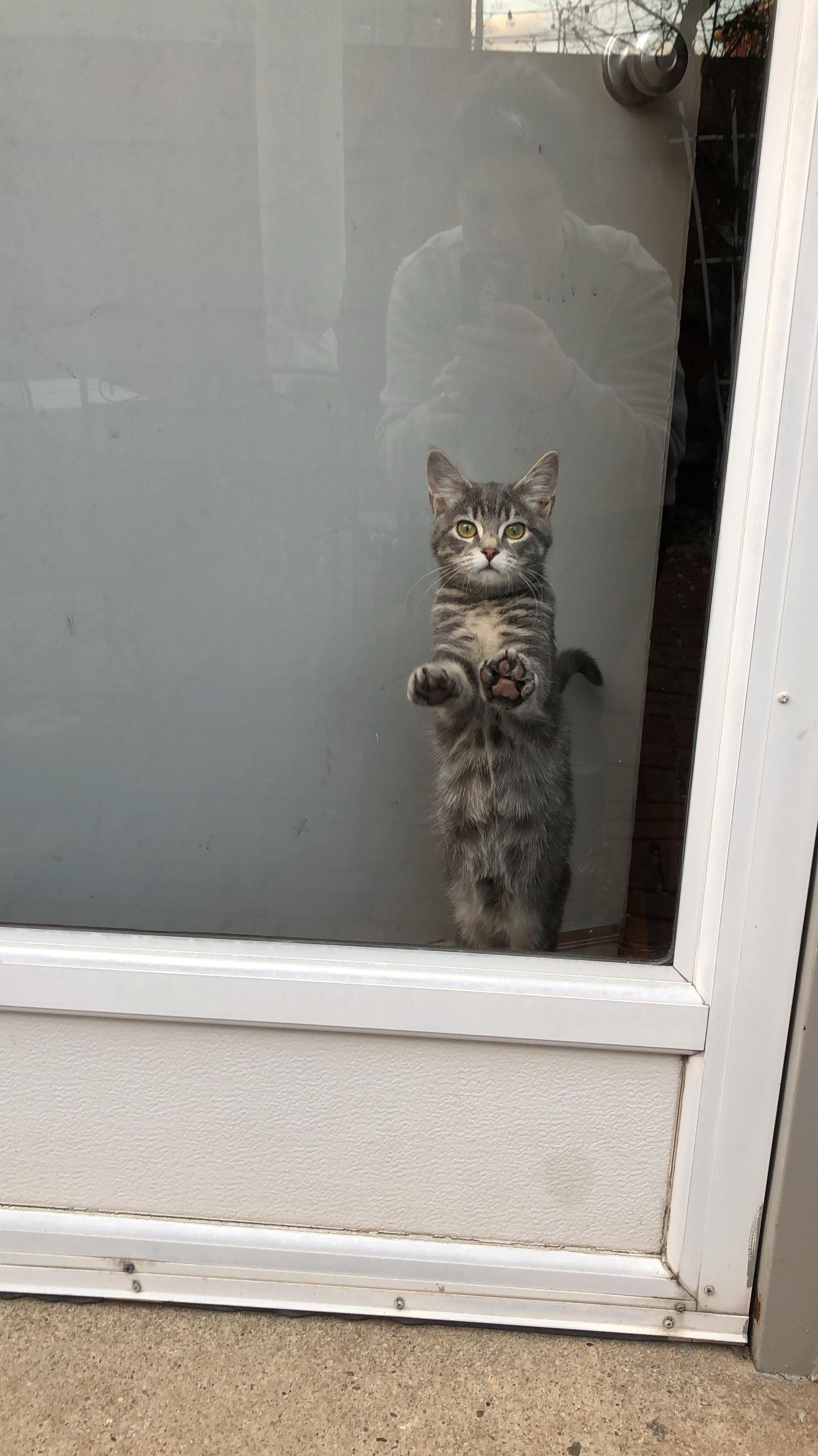 tiny toe beans | Scrolller