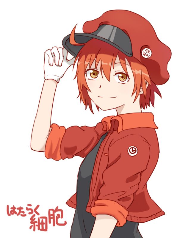 Tip of the hat | Scrolller