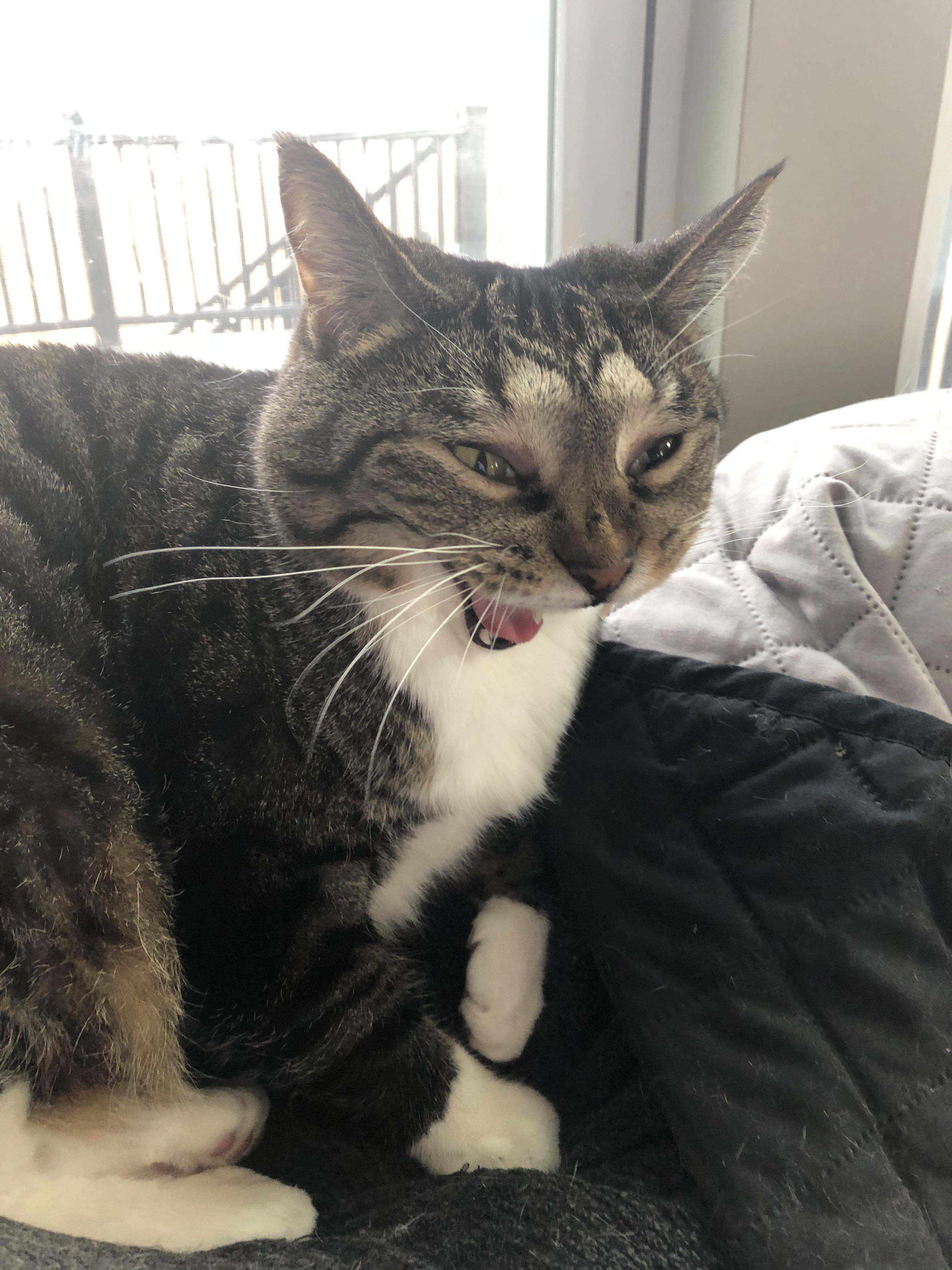 tired scrunge | Scrolller