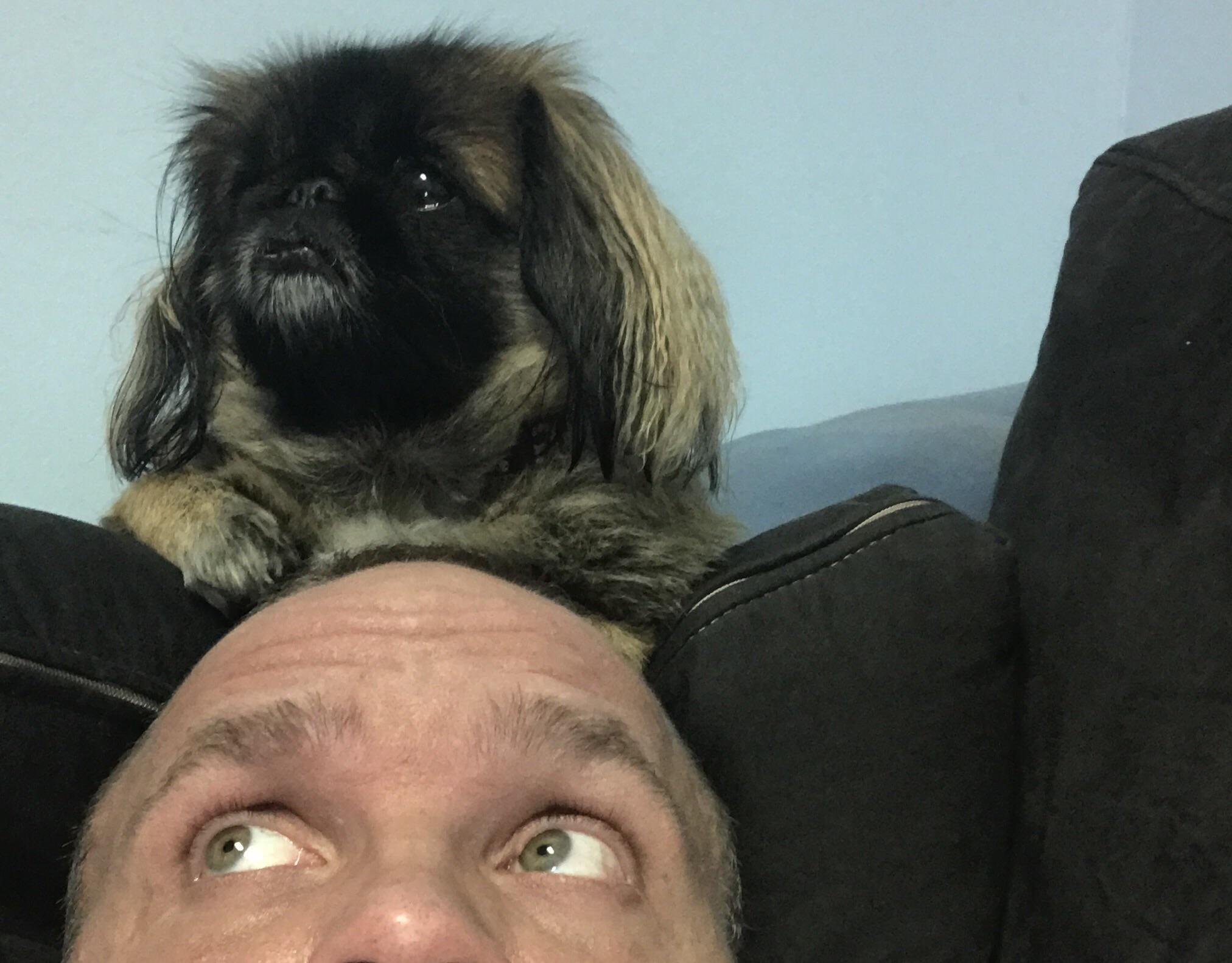 TKO Bonnie is my copilot. | Scrolller