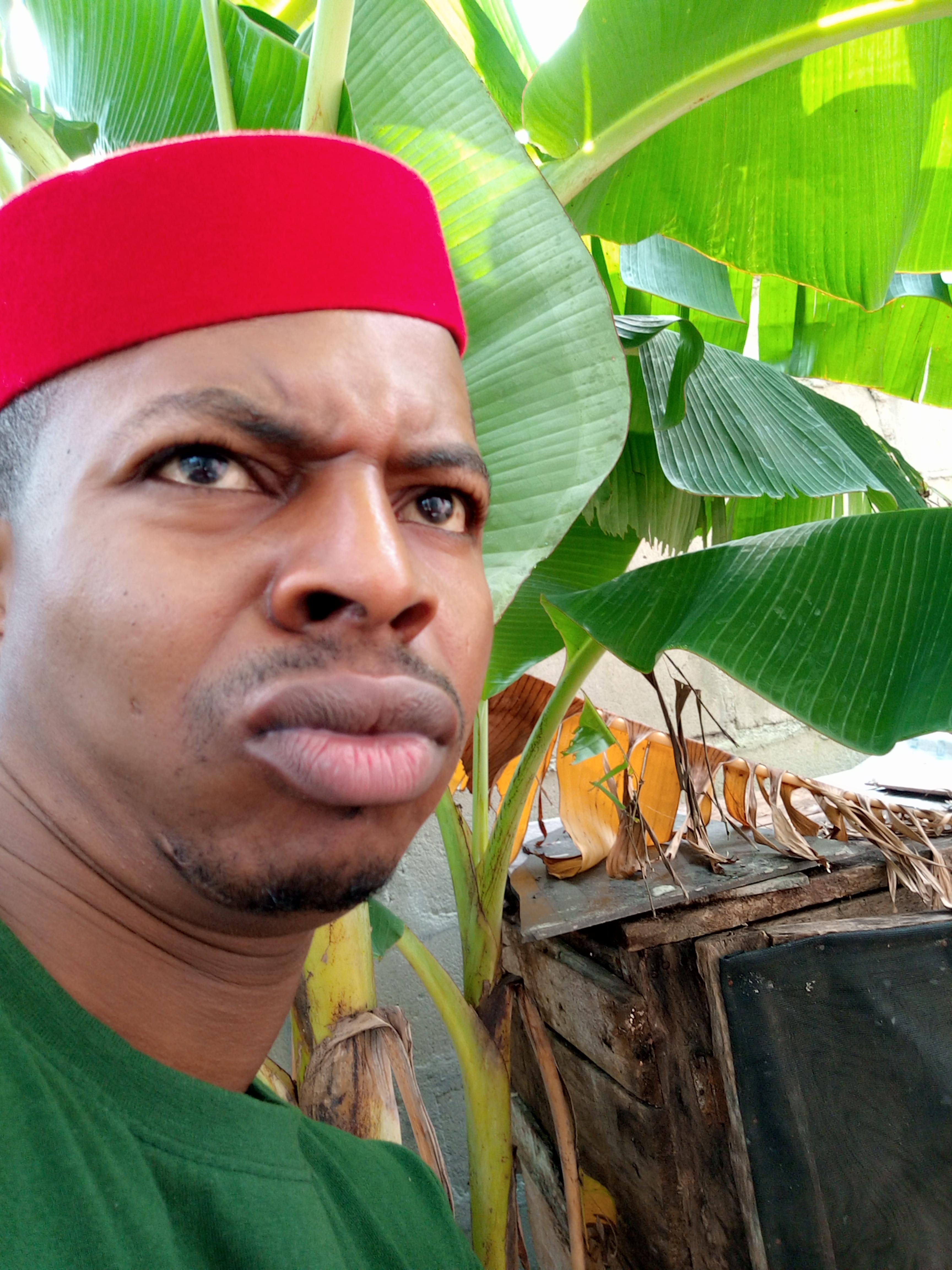 To meet the Oracle | Scrolller