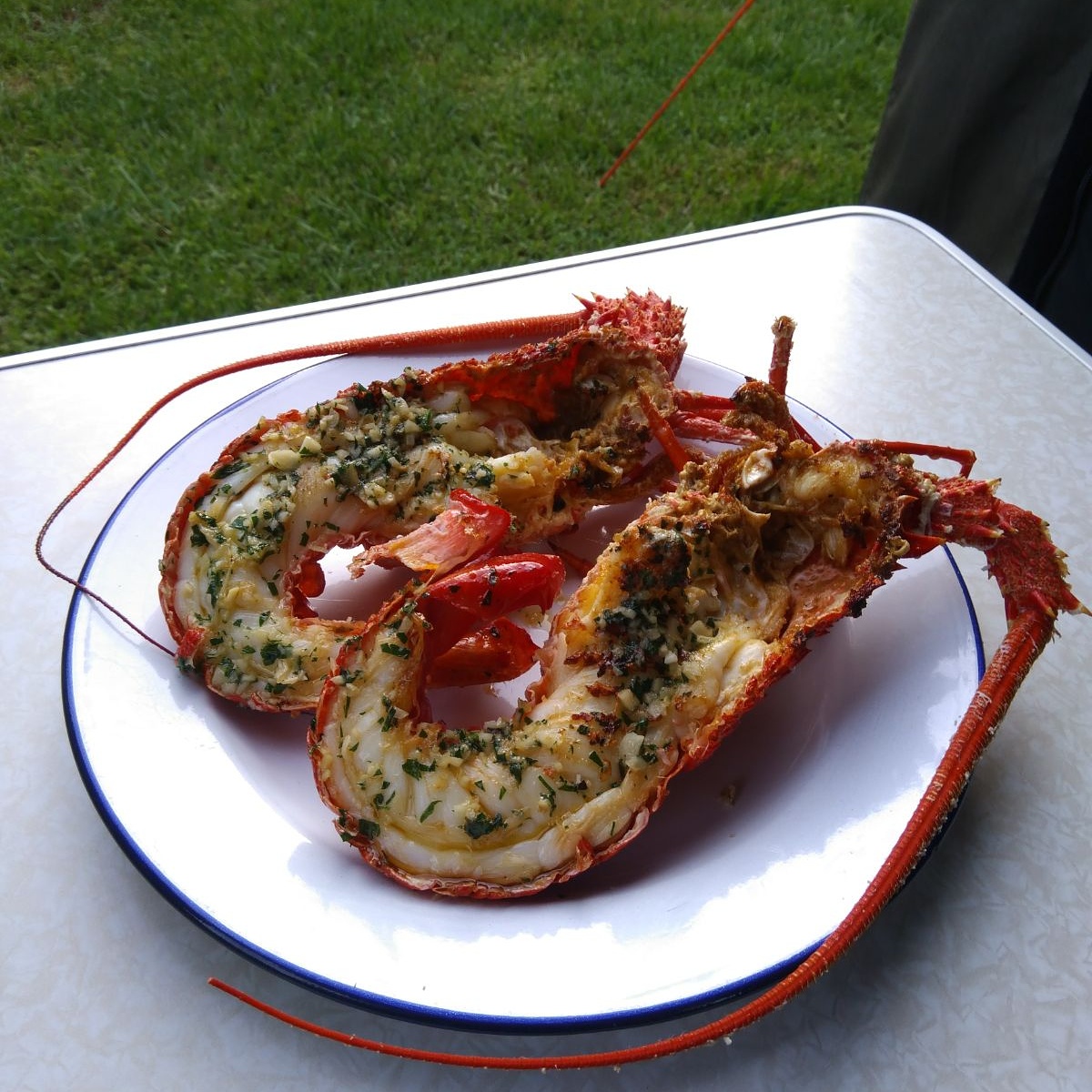 Today I ate... South Australian Rock Lobster | Scrolller