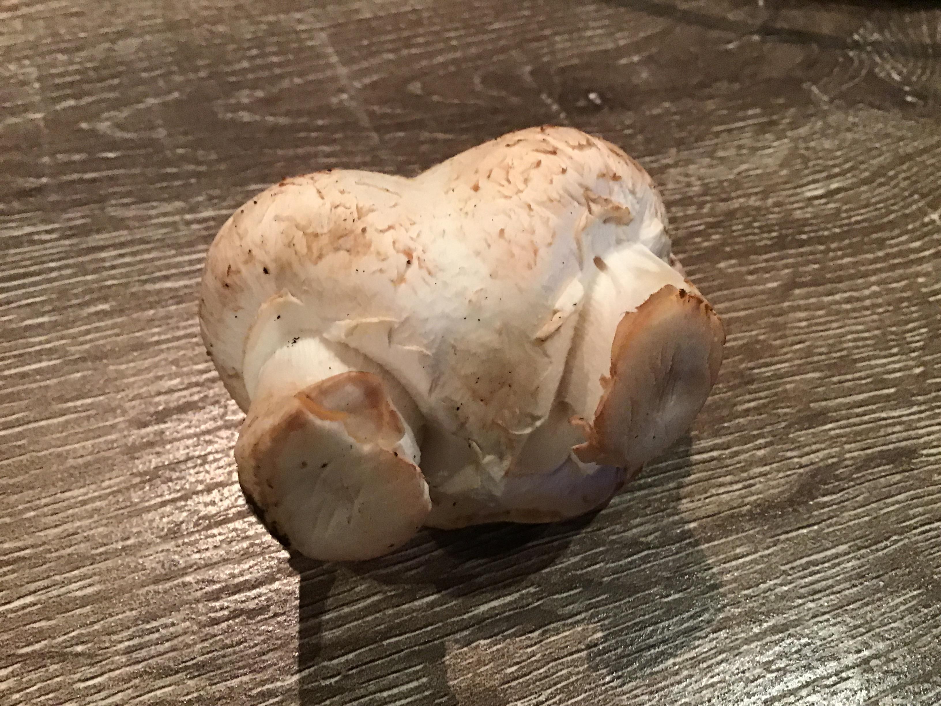 Today I got my first bifurcated sugar lump AND my first bifurcated mushroom! | Scrolller