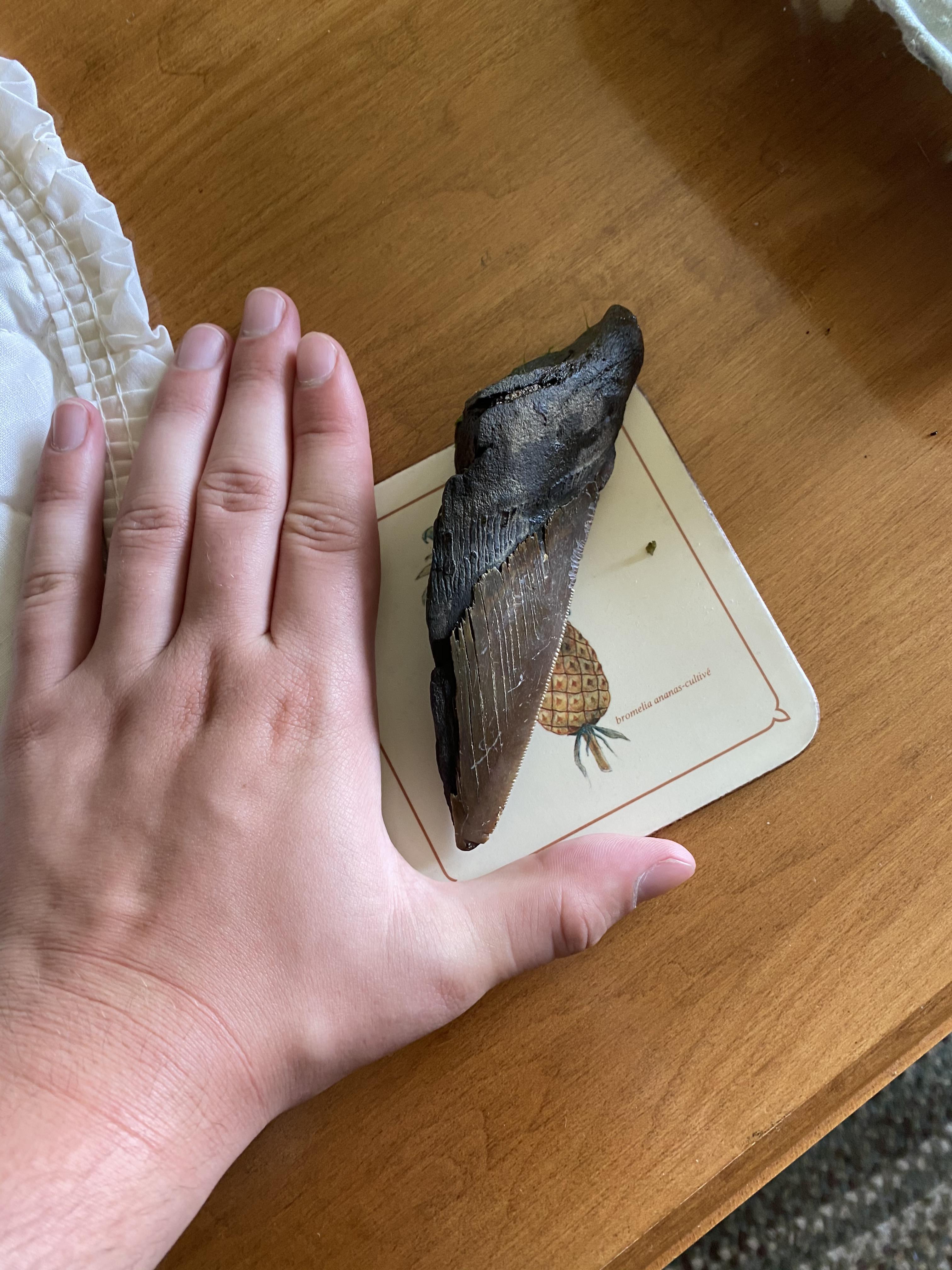 Today’s first find while beachcombing | Scrolller