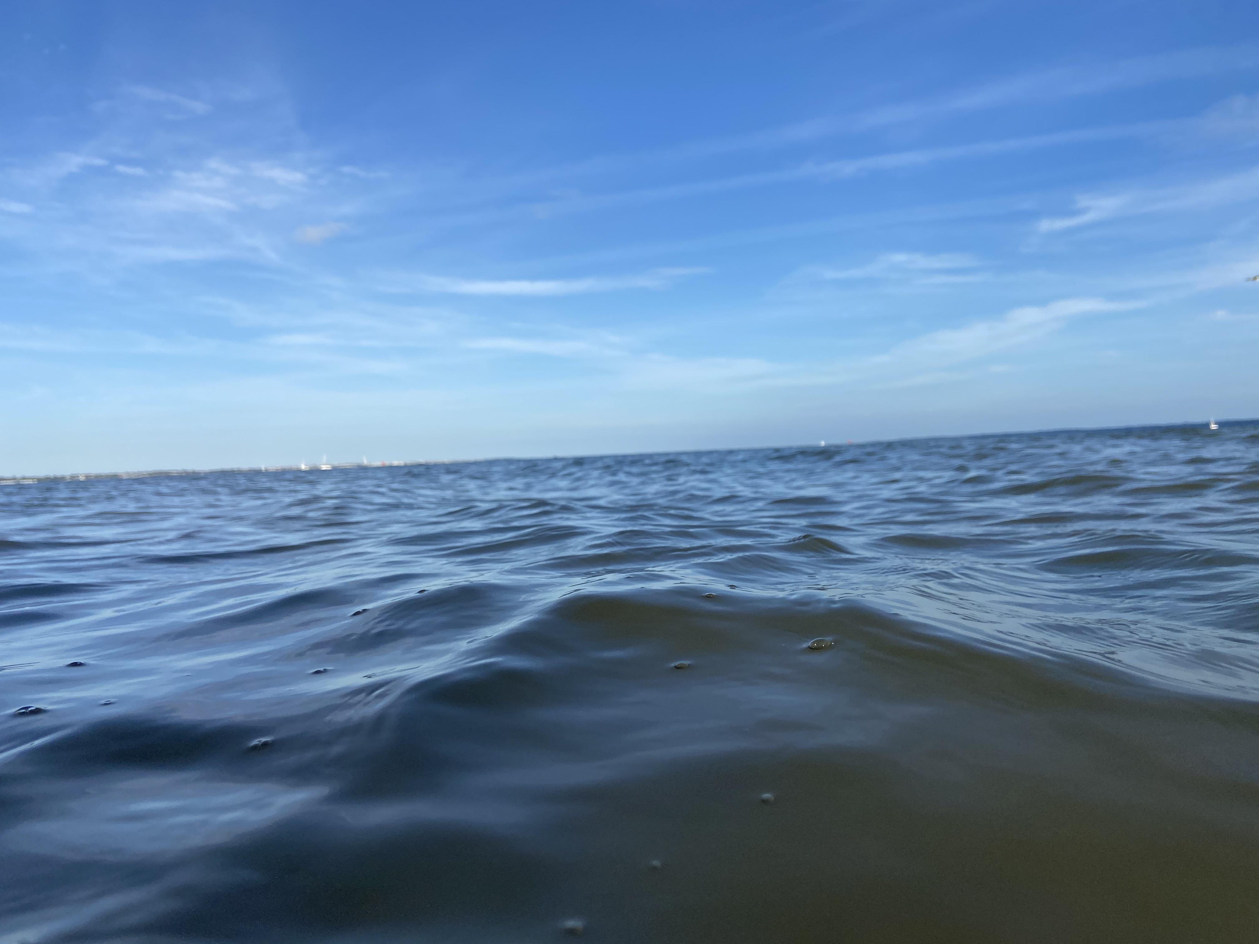 Today’s swim, back in the sea... | Scrolller