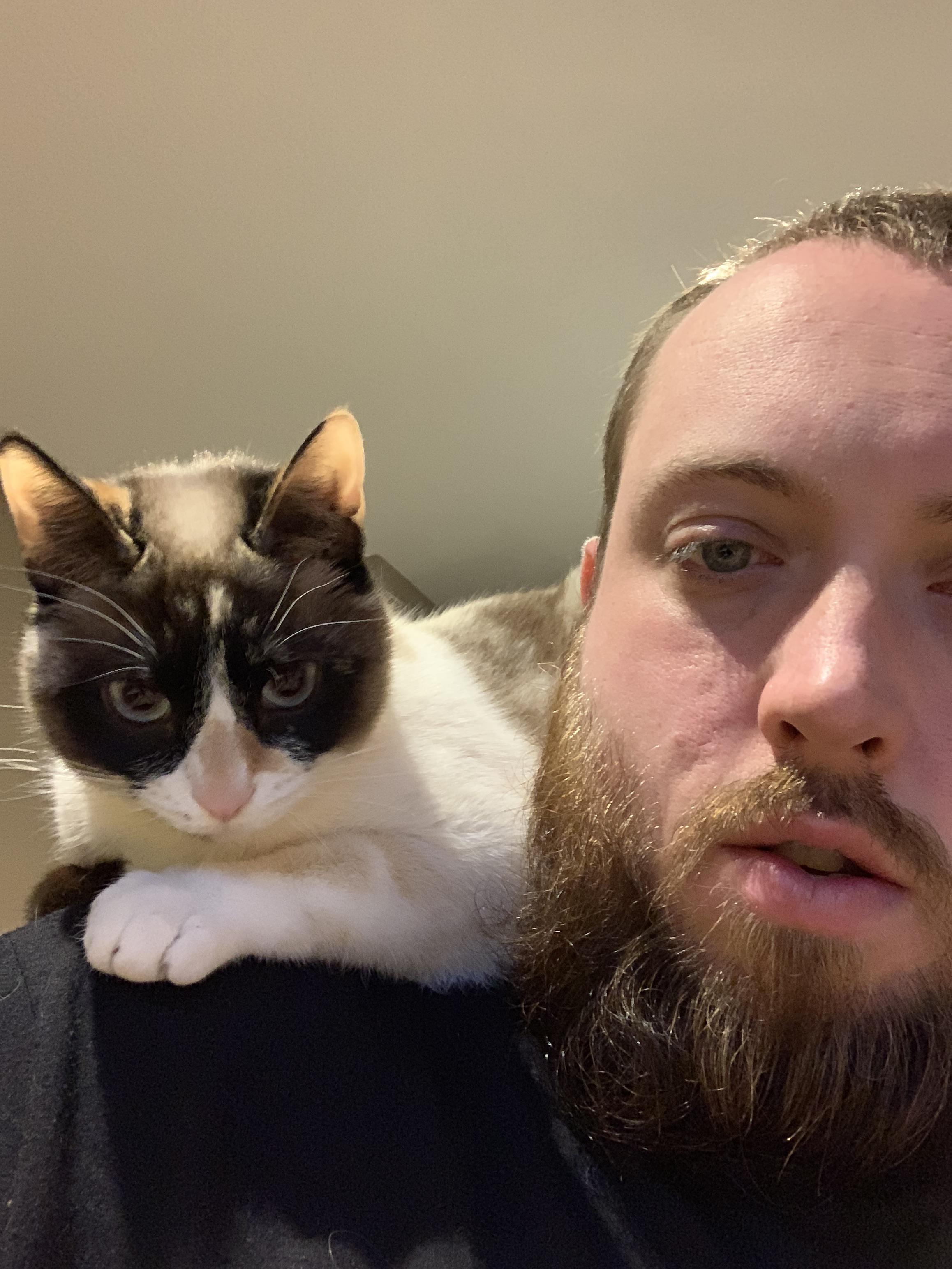 Today’s theme shot | Scrolller