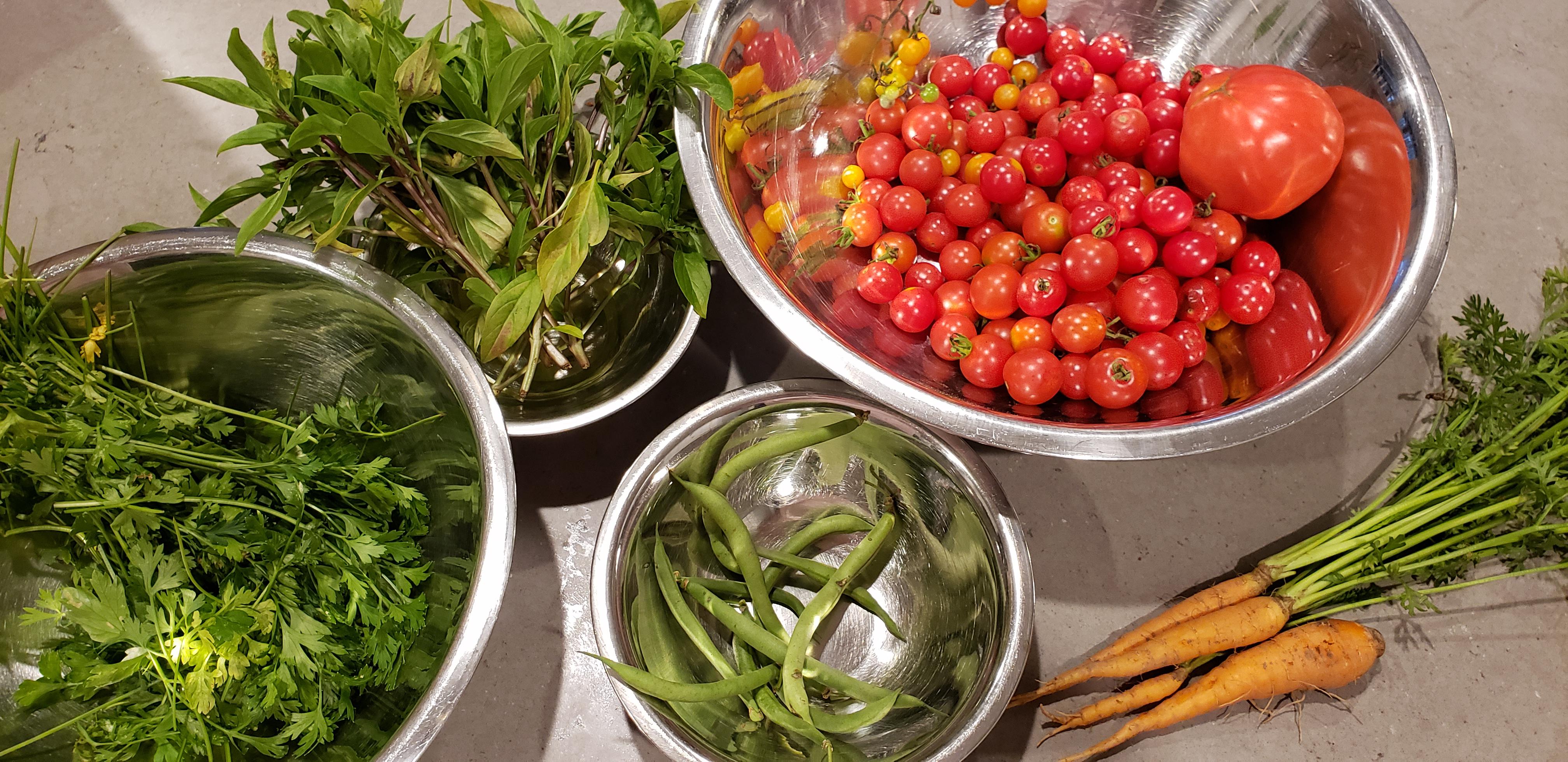 Today's garden haul, tomorrow's feast | Scrolller