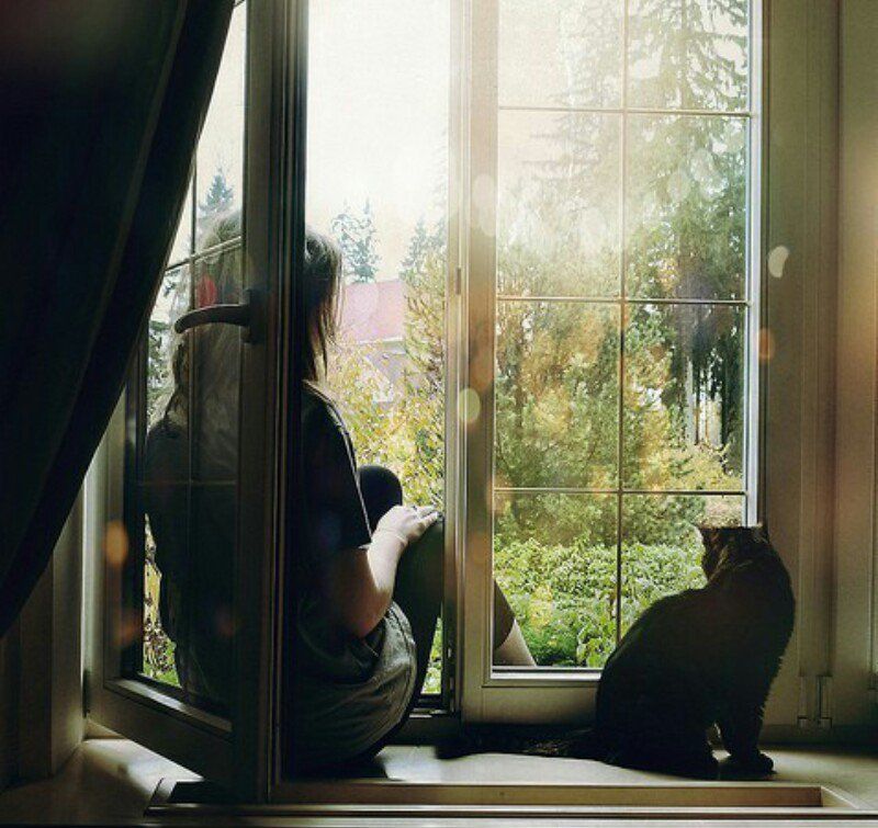 Together in the window | Scrolller