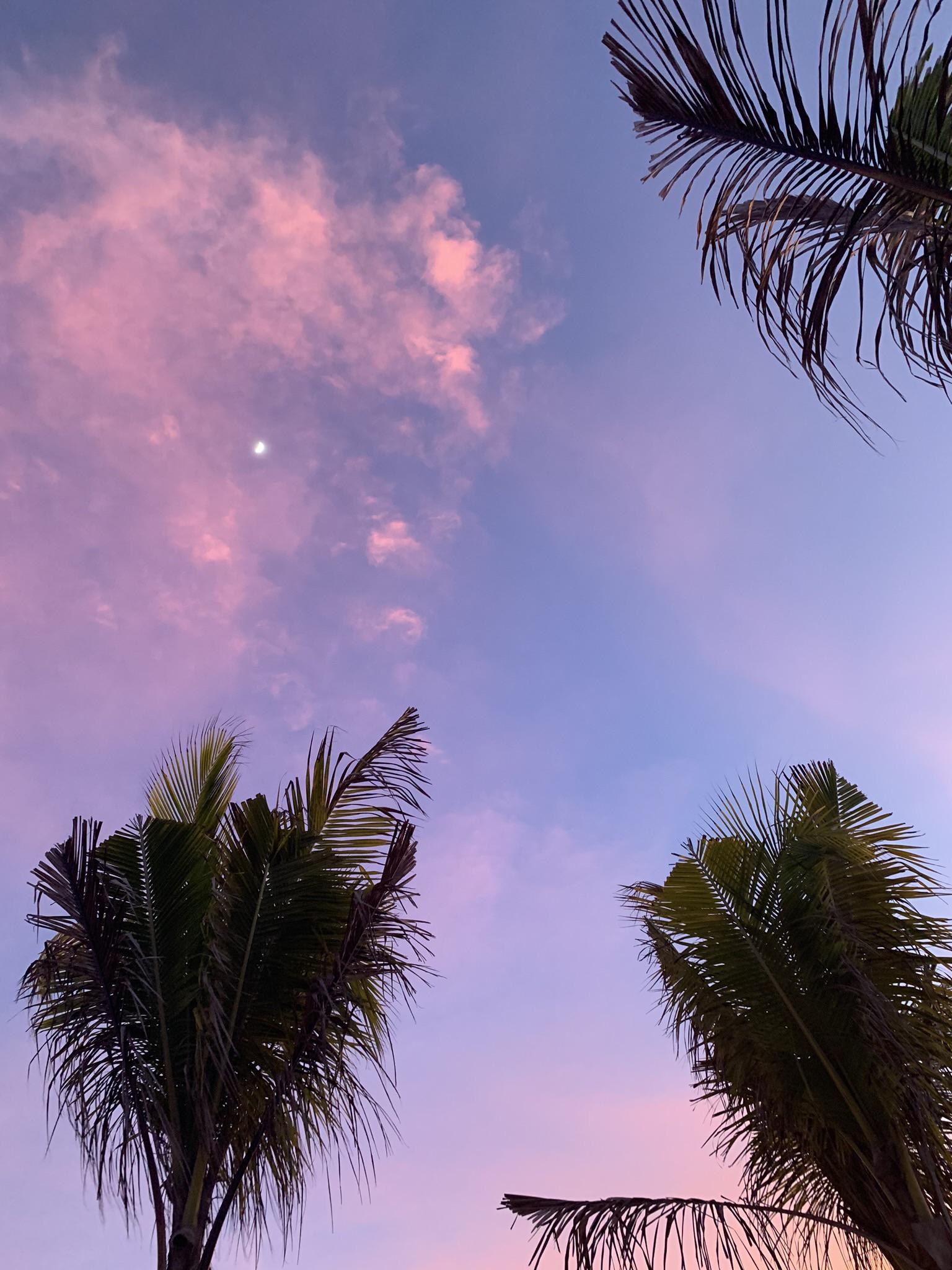 Took this photo in Isla Mujeres, MX. | Scrolller