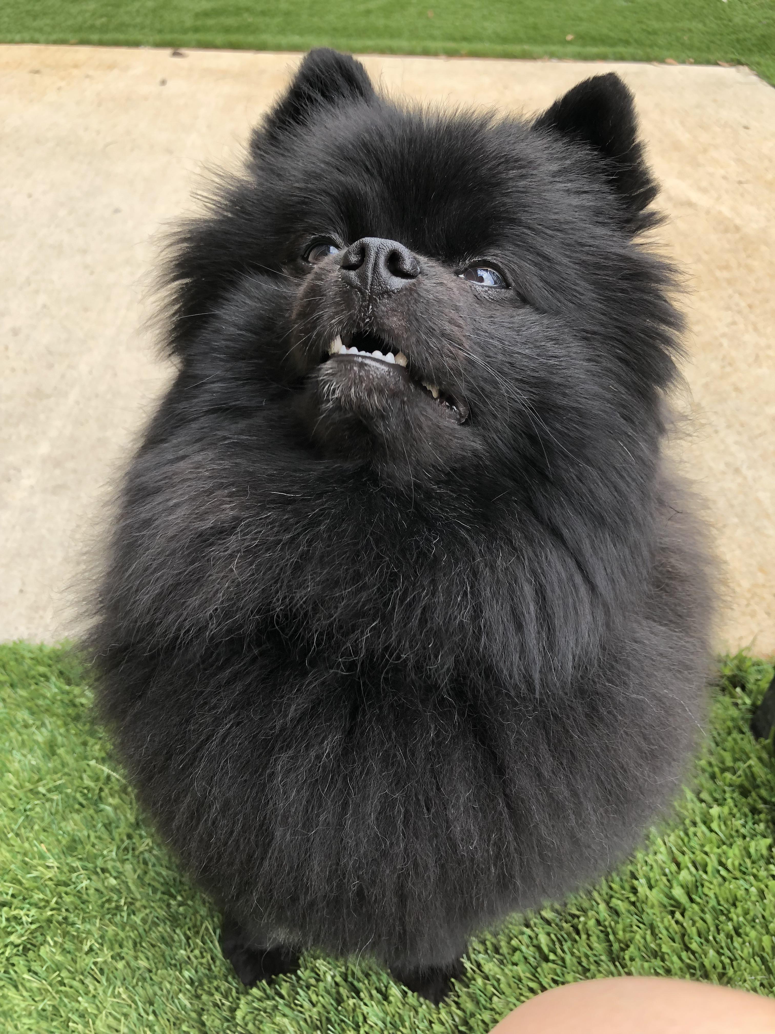 Toothy boy | Scrolller