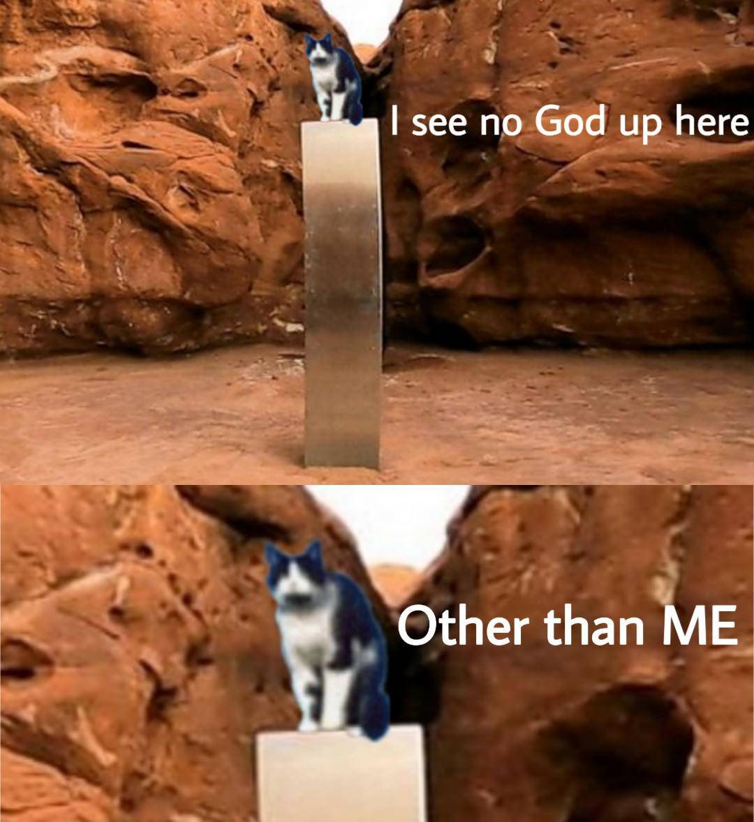 Totally agree... | Scrolller