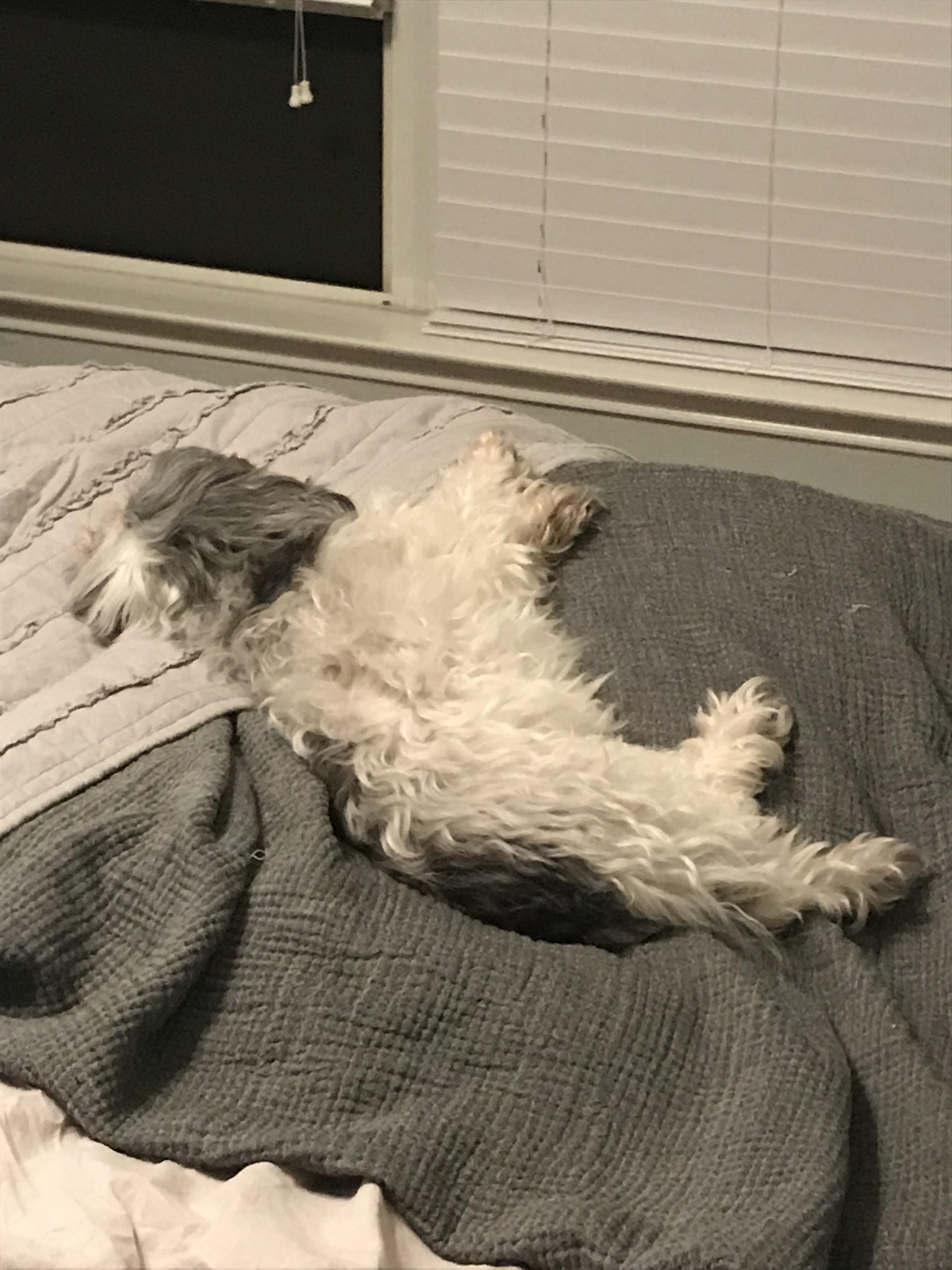 Totally relaxed | Scrolller