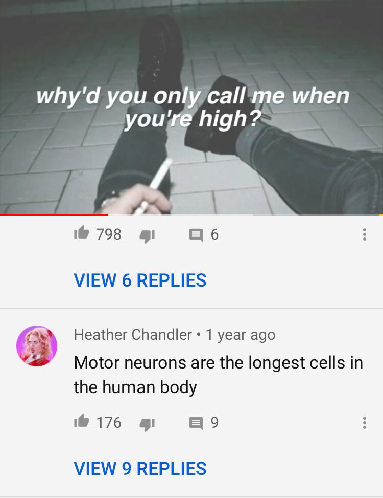 Totally tubular | Scrolller